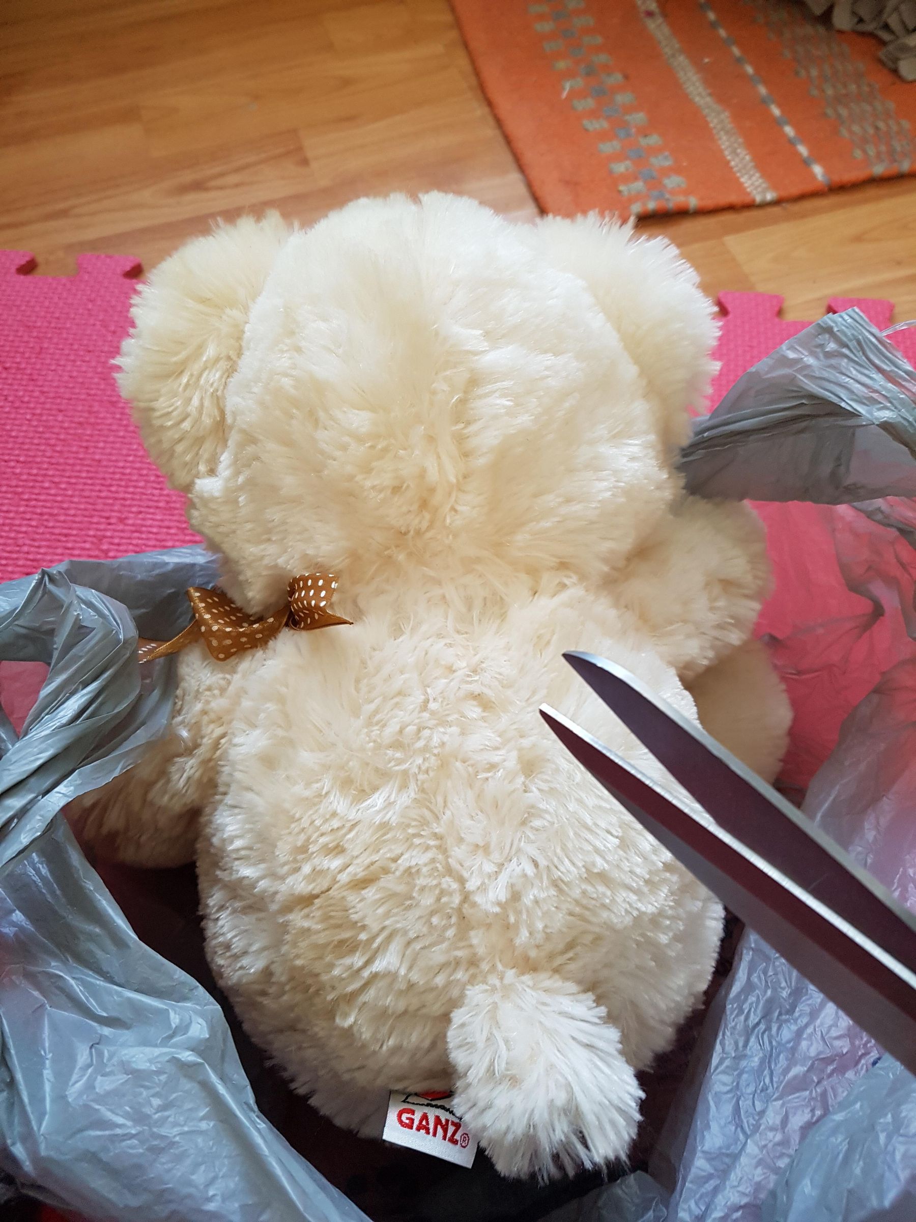 Turn Your Pet Into a Real Life Teddy Bear : 7 Steps (with Pictures ...