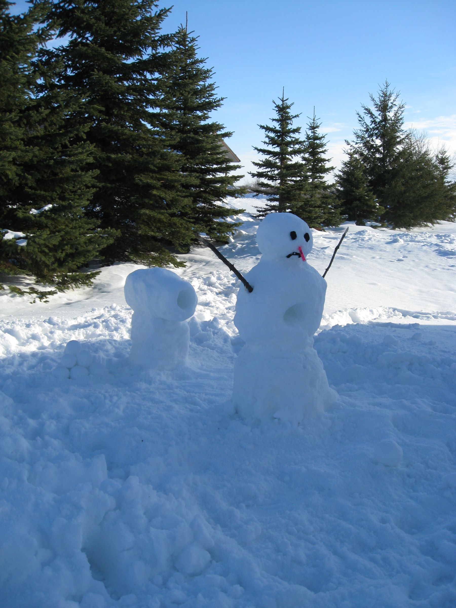 Calvin And Hobbes Real Life Snowmen