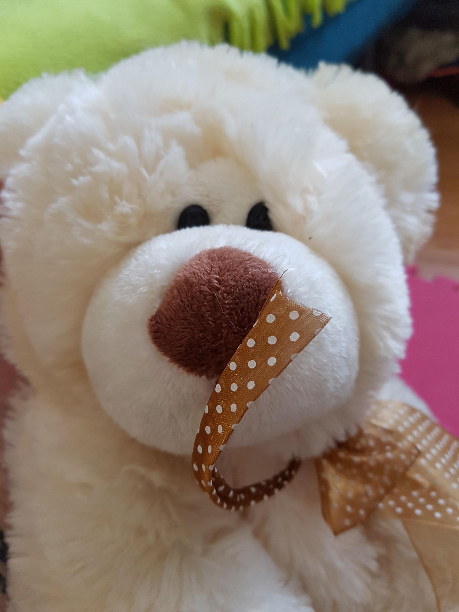 Turn Your Pet Into a Real Life Teddy Bear : 7 Steps (with Pictures ...