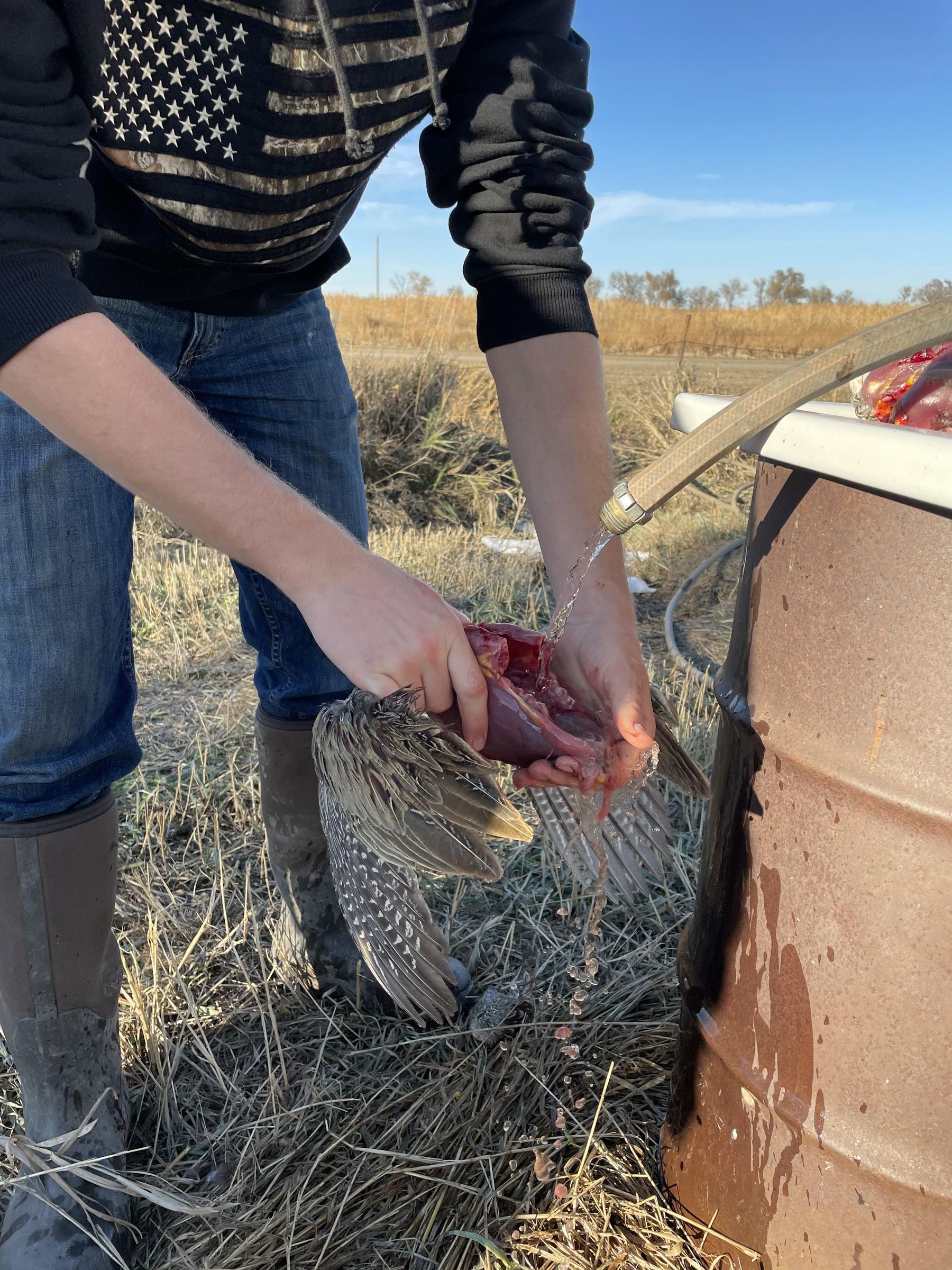 How to Clean a Pheasant : 3 Steps - Instructables