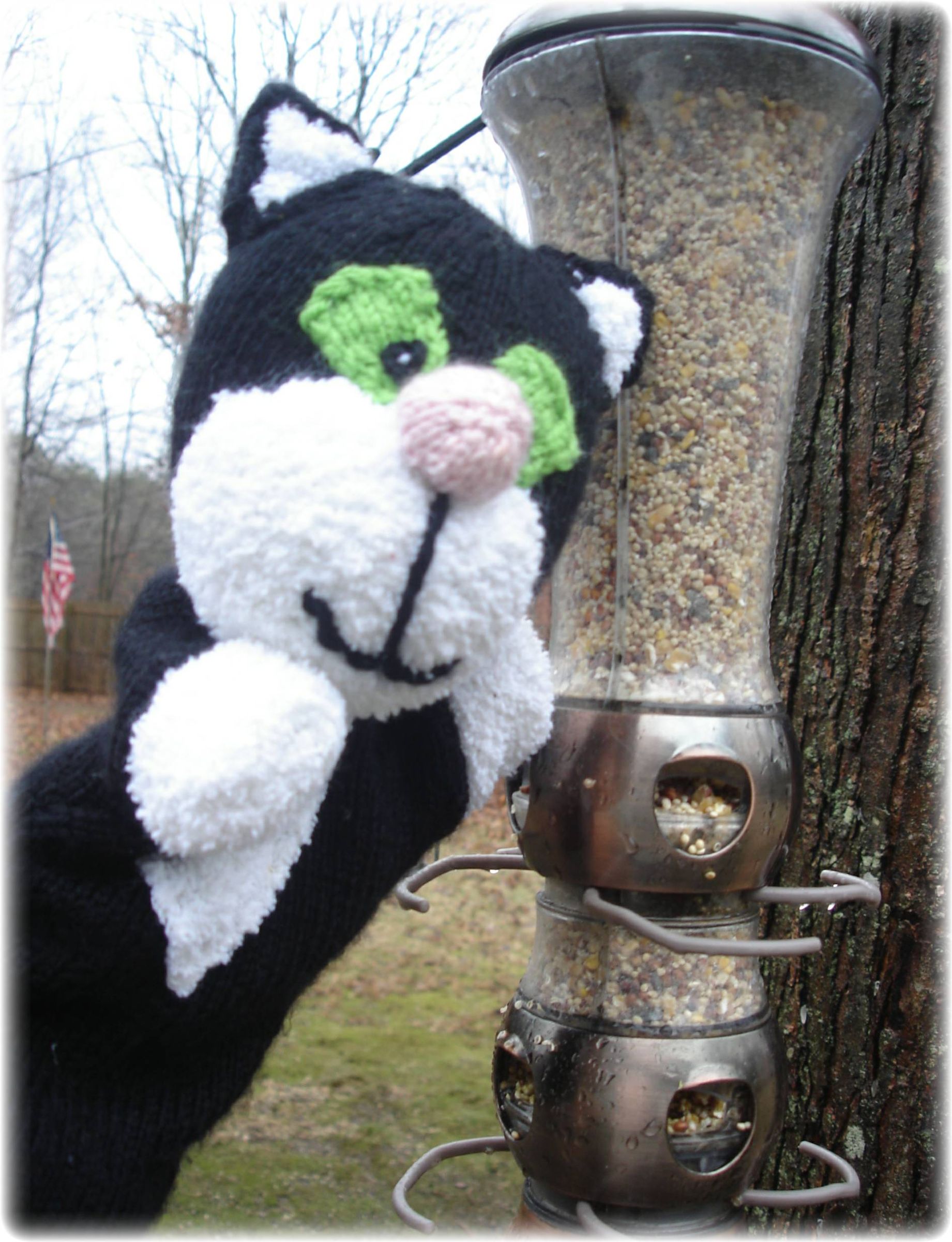 Jess the Cat - Instructables