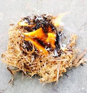 Friction Fire Making : 7 Steps (with Pictures) - Instructables