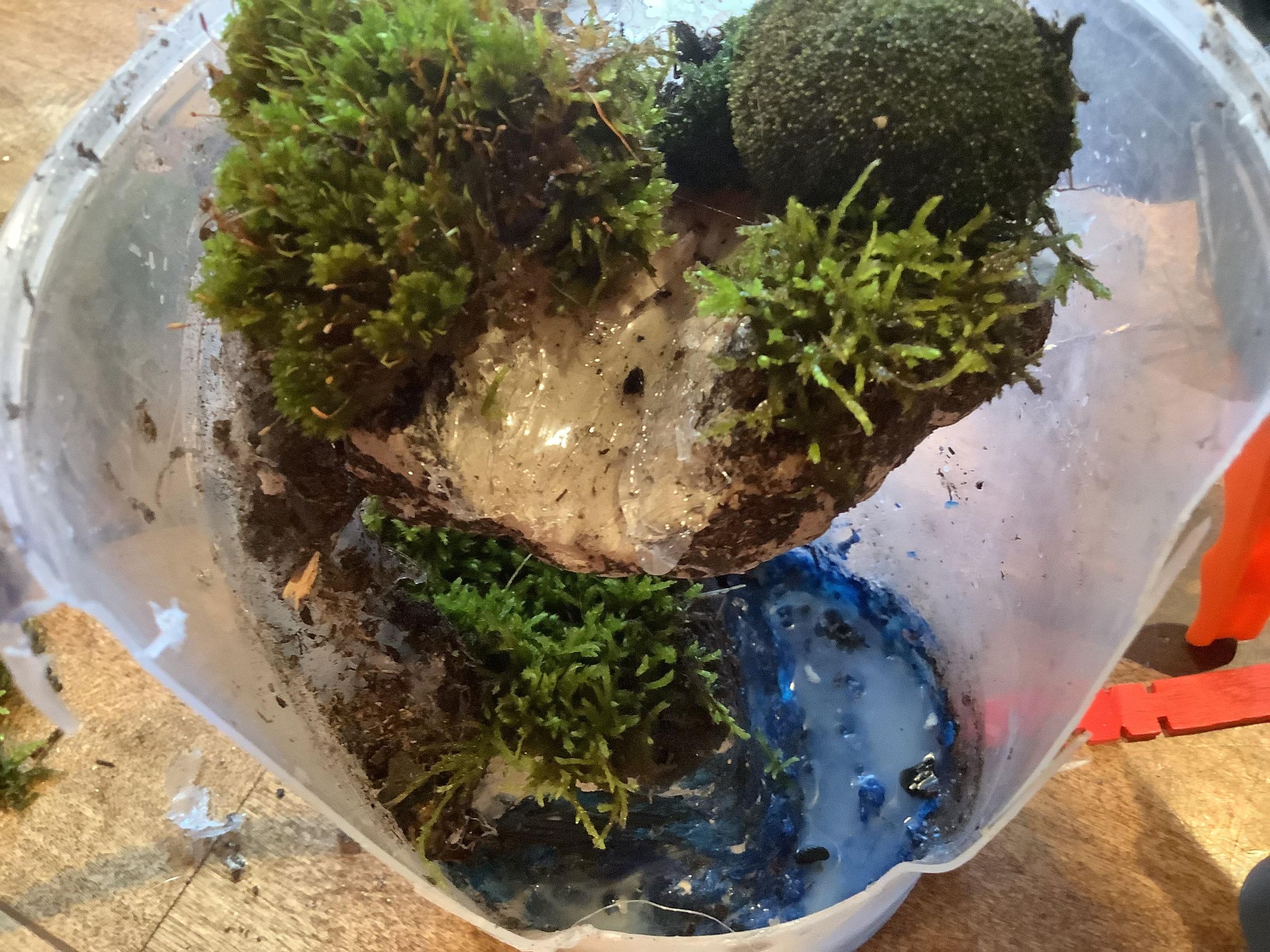 How to Make a Terrarium With a Running Waterfall : 7 Steps - Instructables