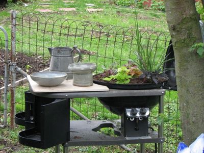 How to Turn Your Old Grill Into a Planter : 18 Steps (with Pictures ...