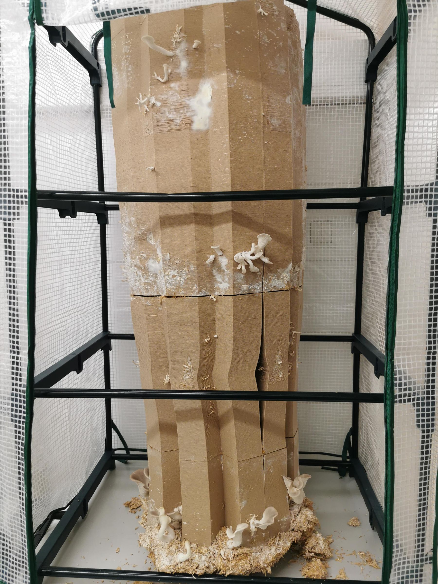 3D Printed and Mycelium Grown Beehives : 9 Steps (with Pictures) - Instructables