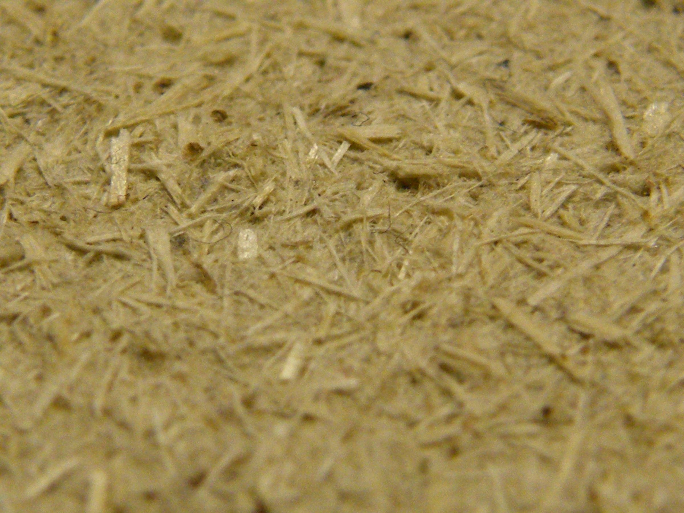 How to Make Paper : 15 Steps (with Pictures) - Instructables