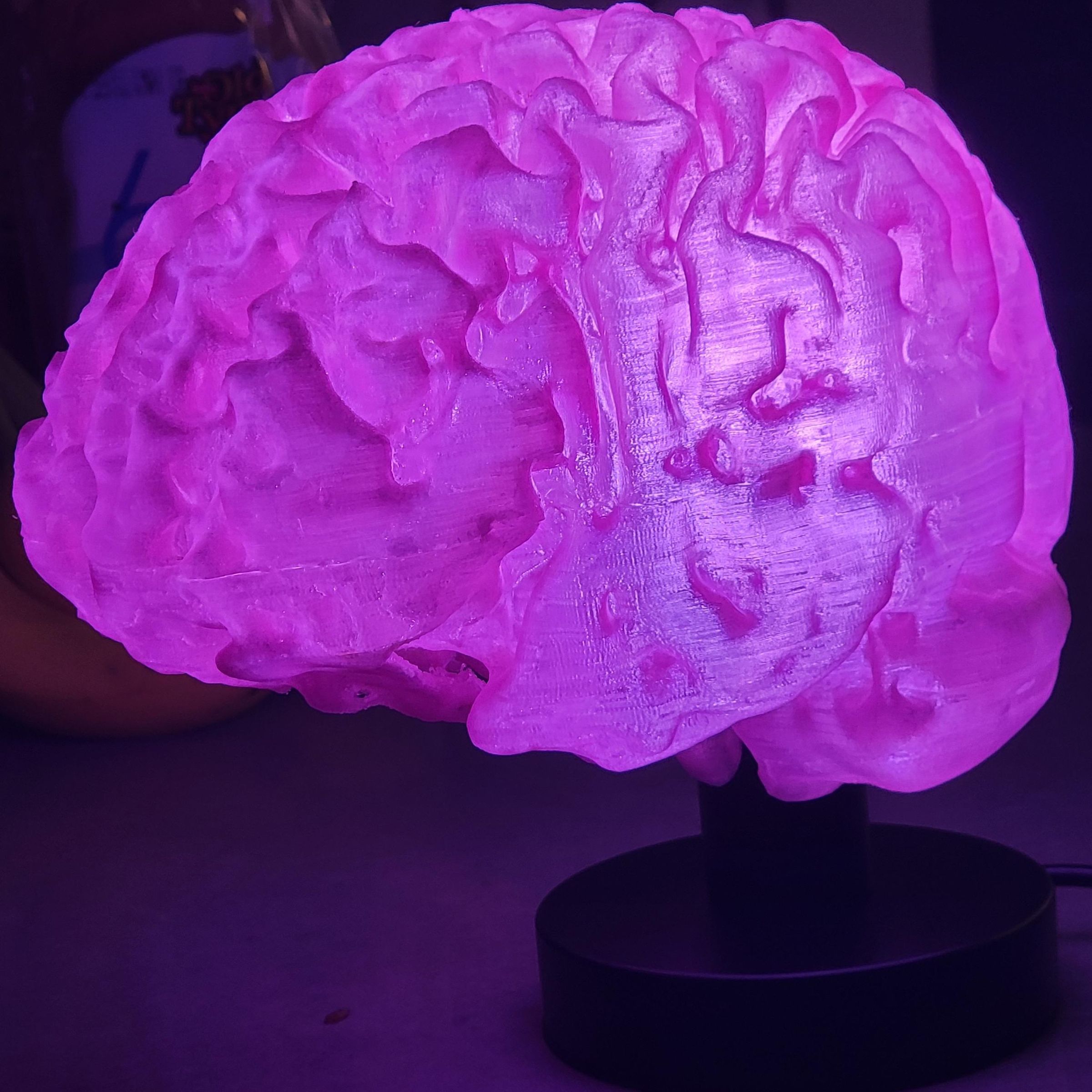 How To: From MRI to 3D Printed Brain Lamp : 4 Steps (with Pictures) - Instructables