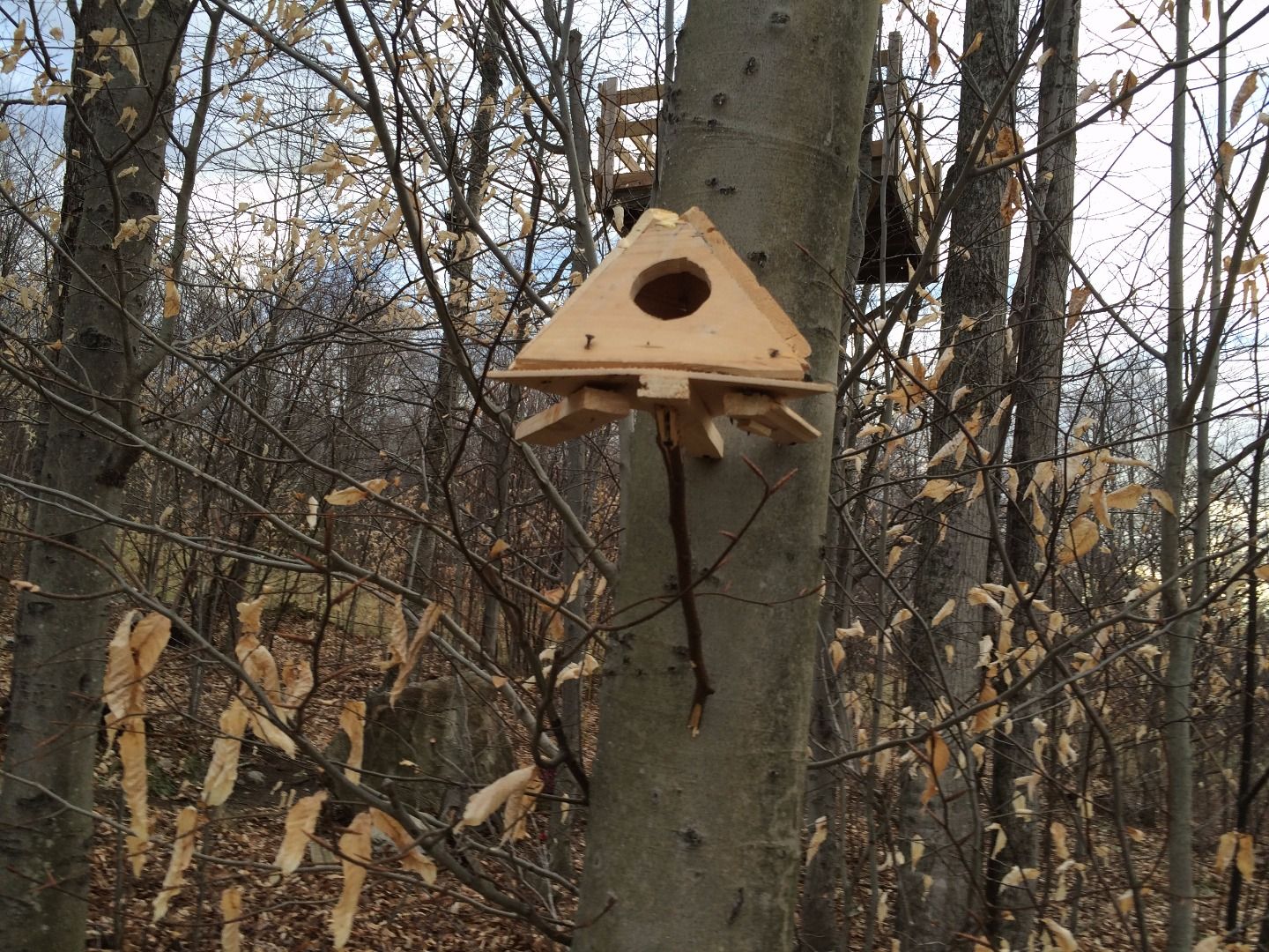 Triangular Bird Box : 4 Steps - Instructables