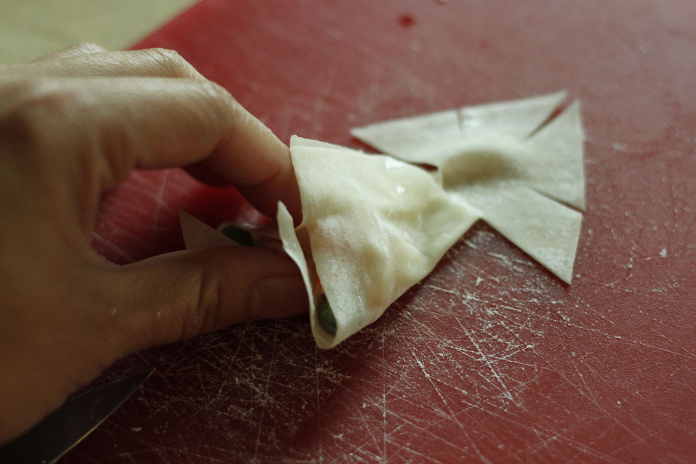 Goldfish Shaped Dumplings : 8 Steps (with Pictures) - Instructables