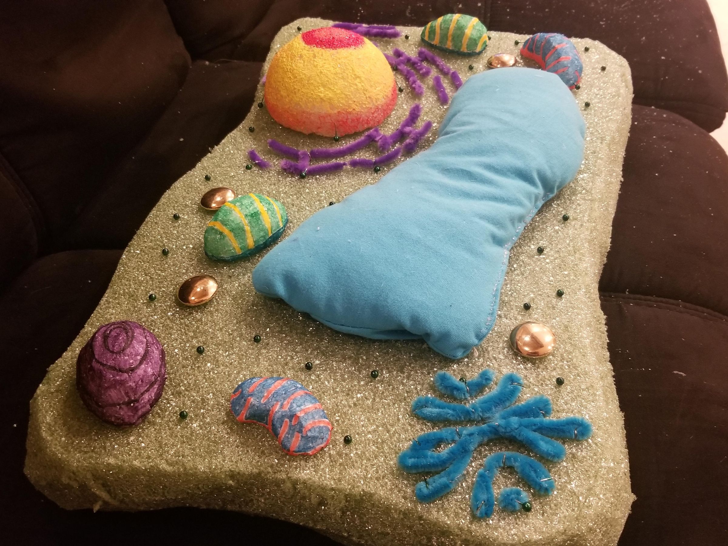 Cell Model Educational Model From Recycled Materials : 5 Steps (with ...