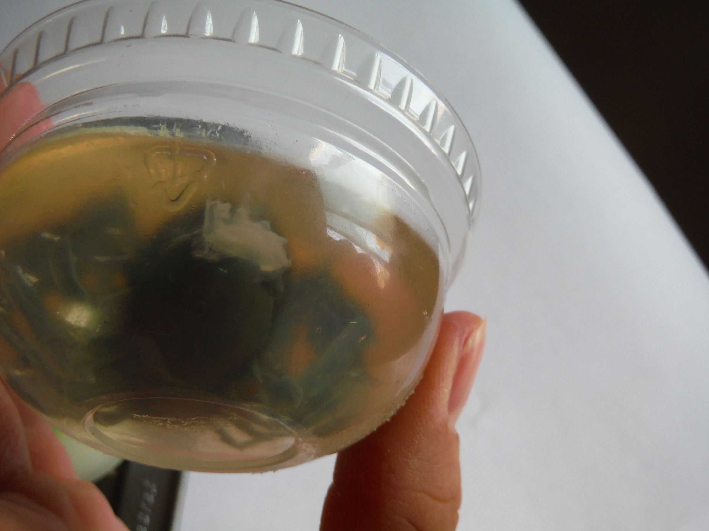 How to Make (edible) Creepy Things Encapsulated in Gelatin : 10 Steps ...
