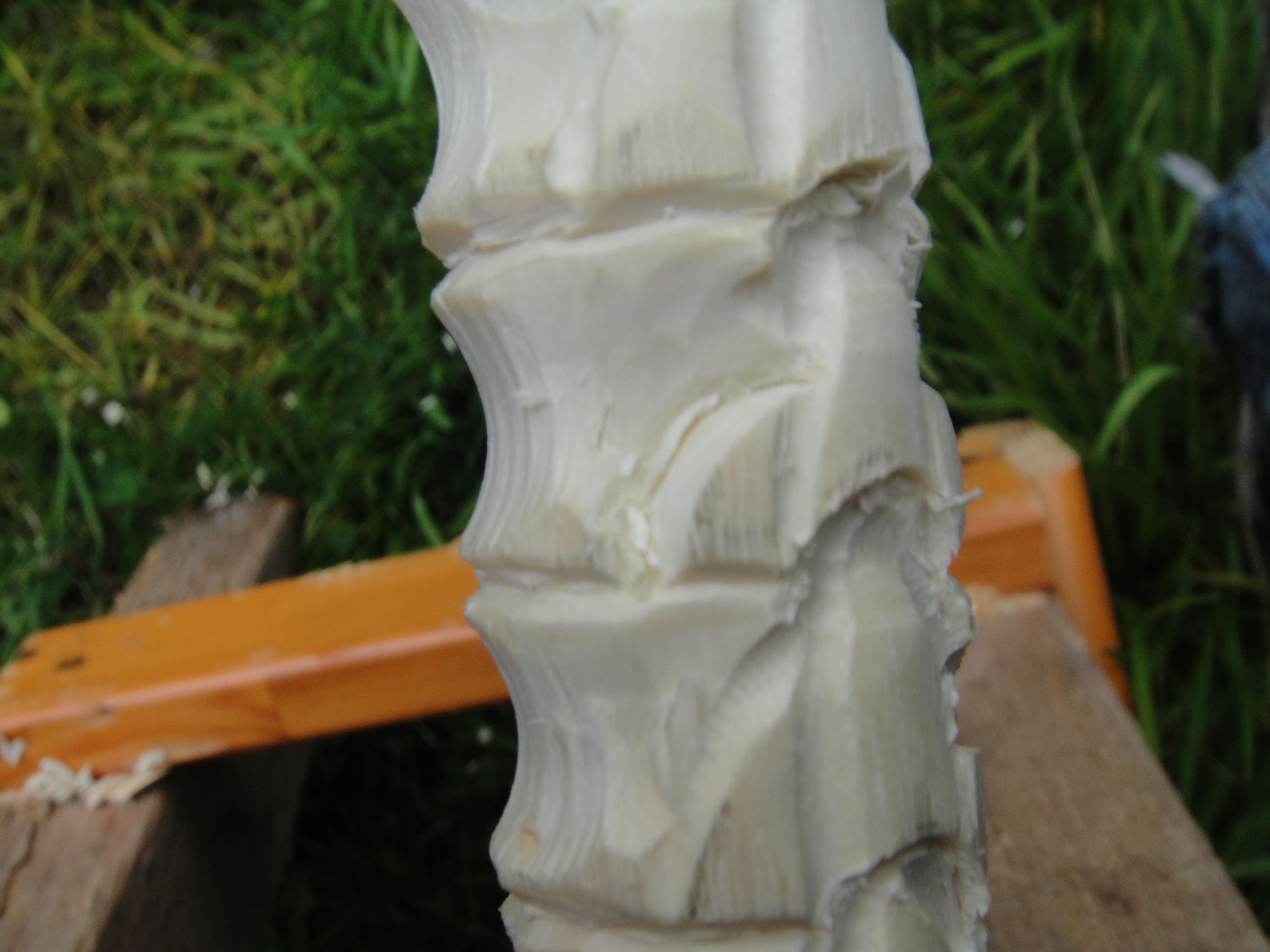 Carving a Spine Hiking Pole : 7 Steps (with Pictures) - Instructables