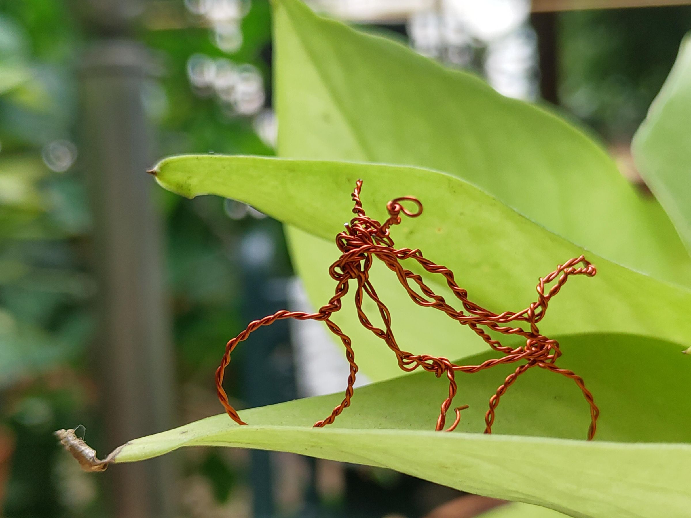 Miniature Scenery in a Box : 8 Steps (with Pictures) - Instructables