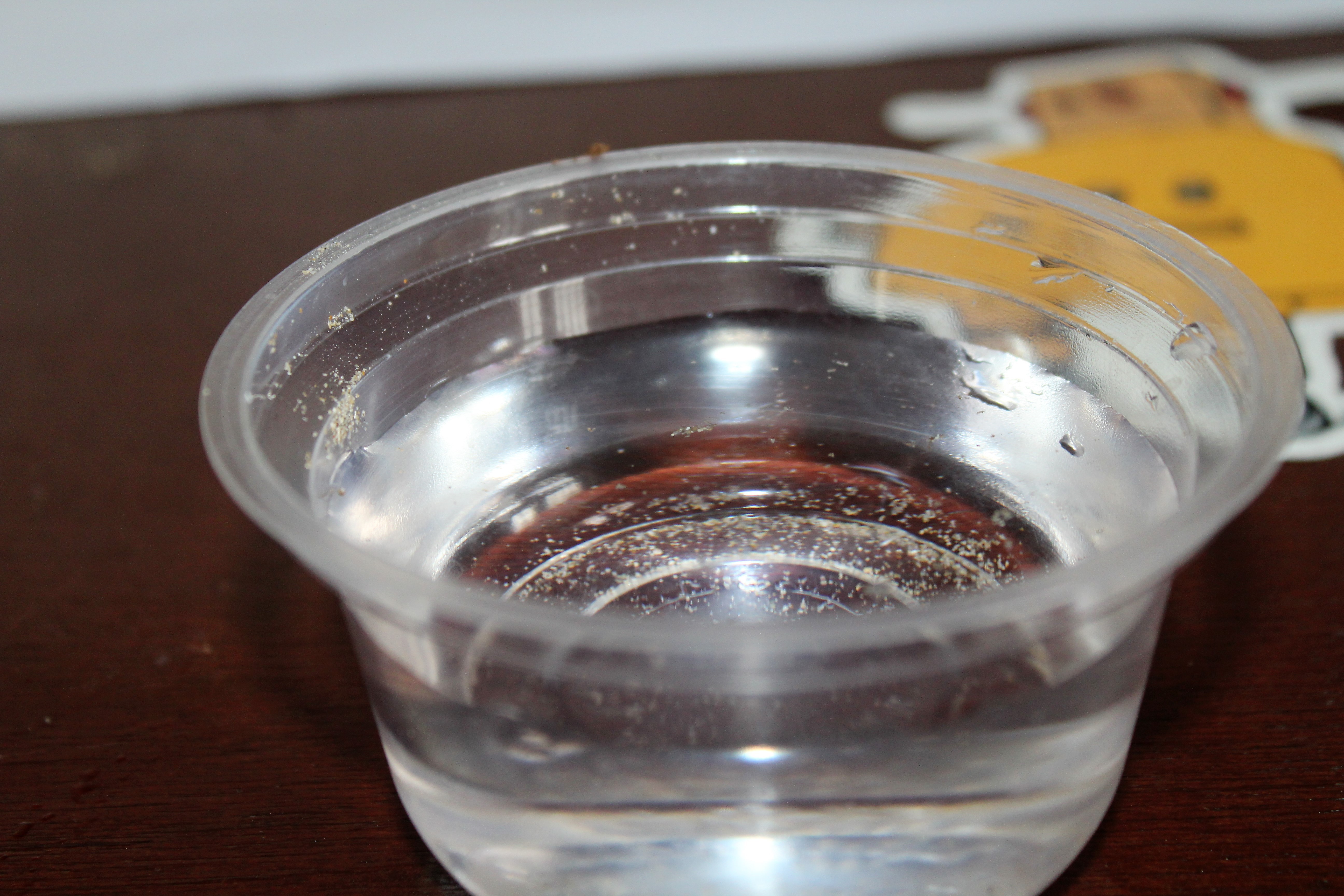 How to Make Easy Water Filtration : 11 Steps - Instructables