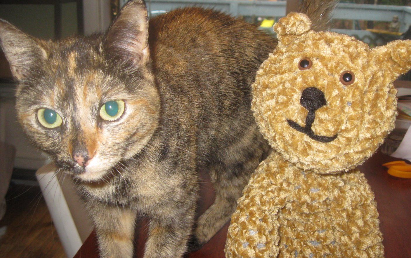 Fat Cat - Instructables