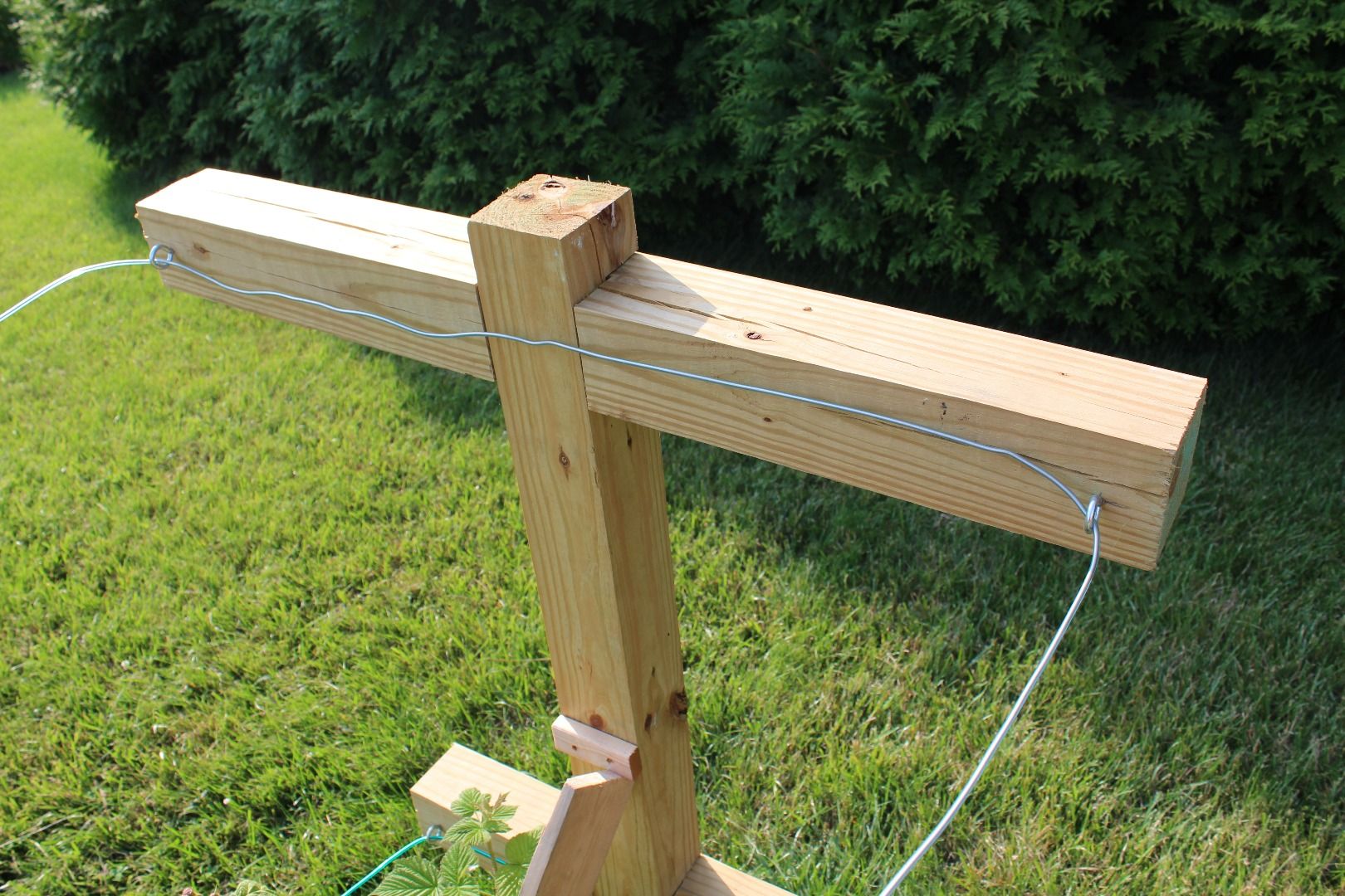 Backyard Raspberries : 17 Steps (with Pictures) - Instructables