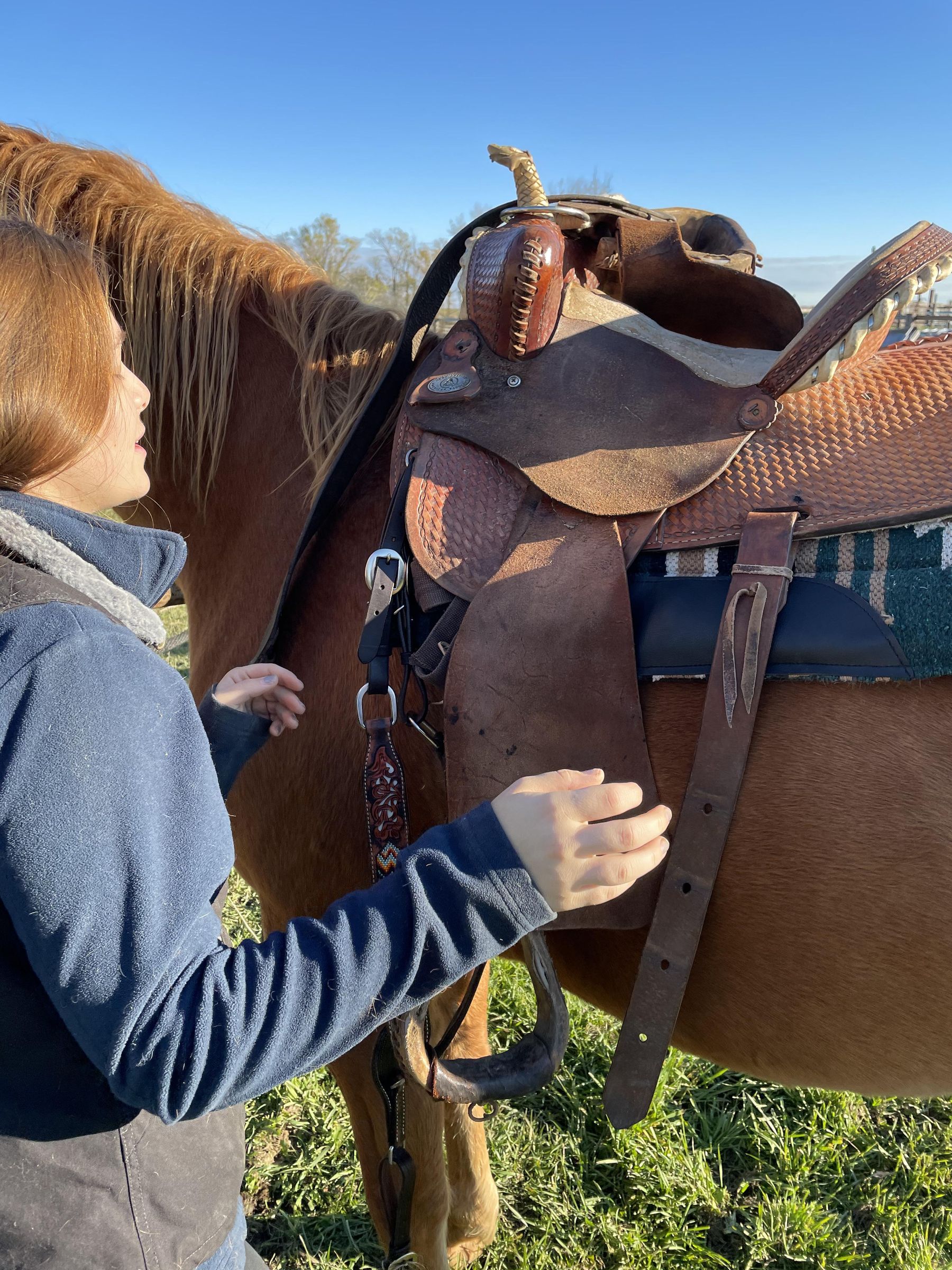 How to Saddle a Horse Right : 8 Steps - Instructables