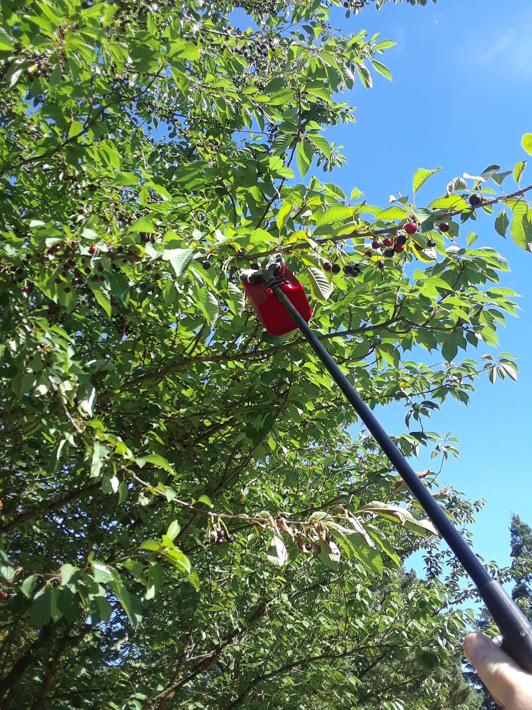 Extended Reach Cherry Picker Stick - Instructables