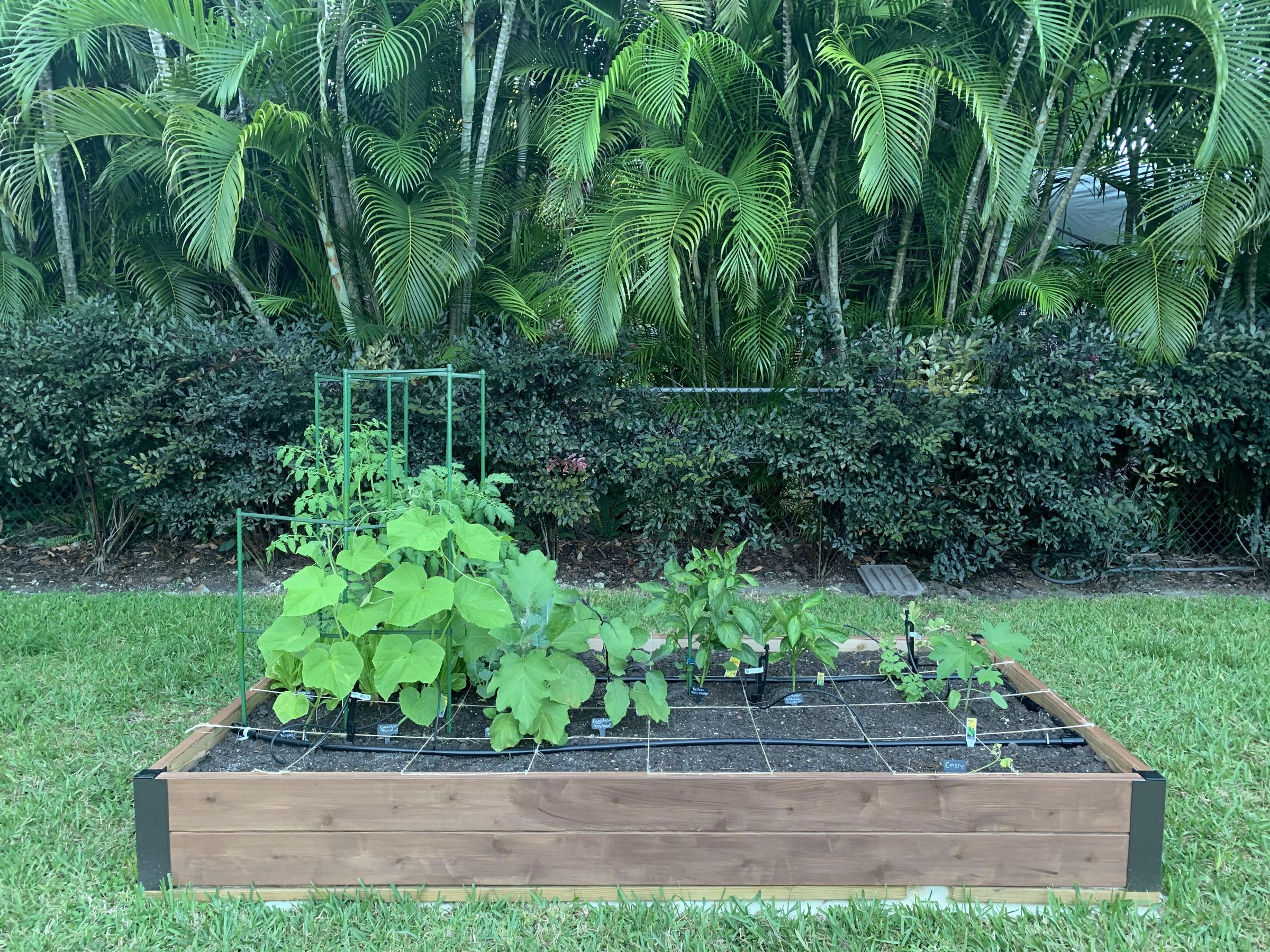 How to Create a Garden : 10 Steps (with Pictures) - Instructables