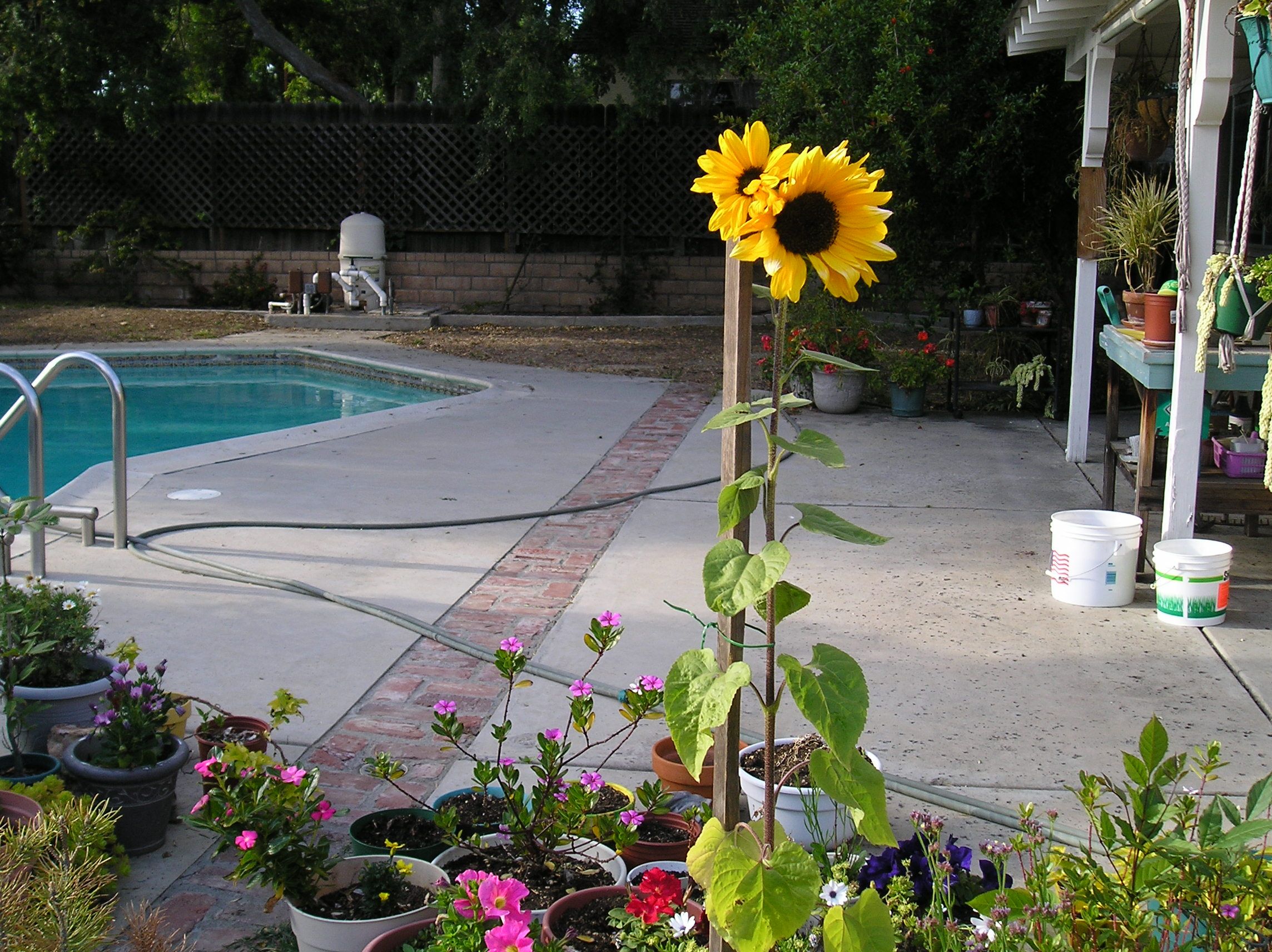 Make Indispensible, Portable, Useful Support Posts. : 6 Steps ...