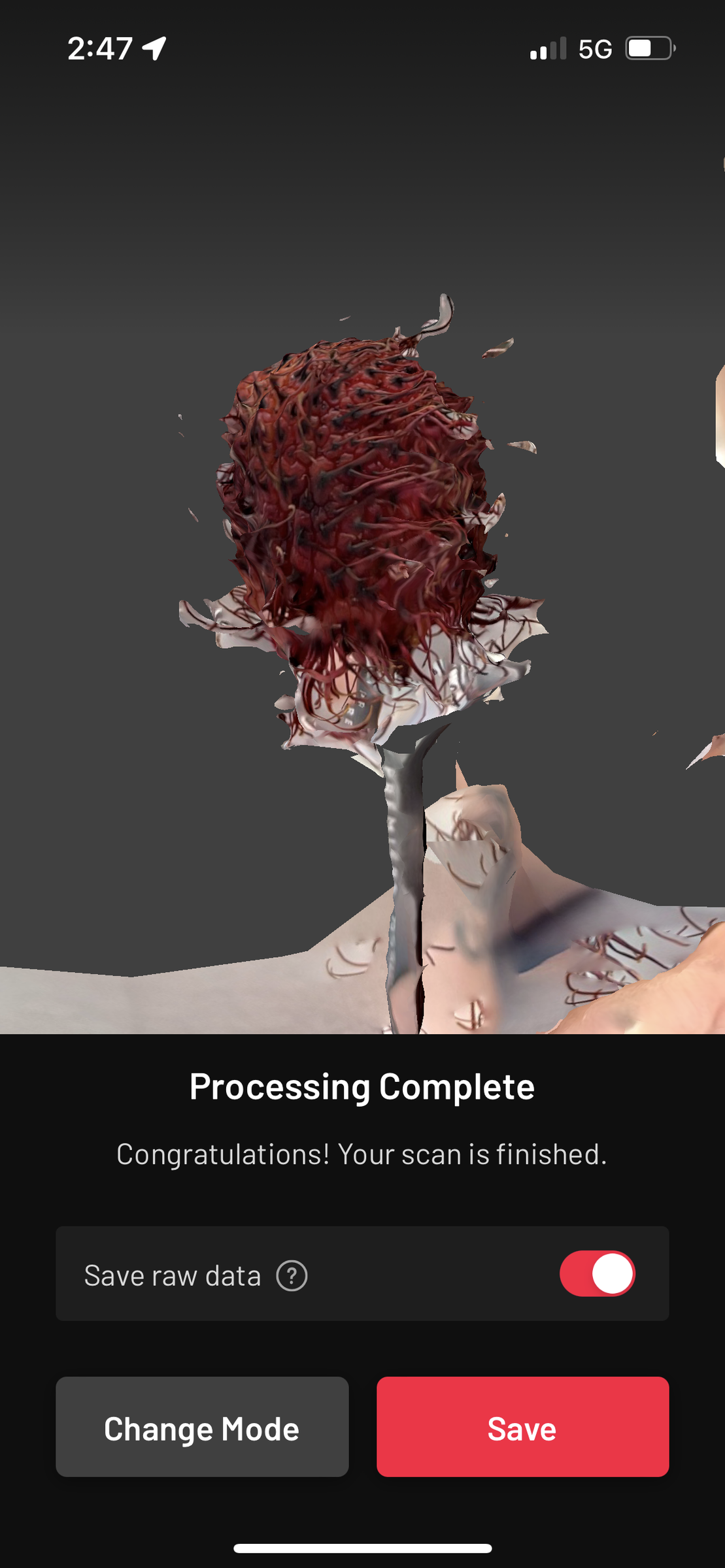 Rambutan Inspired 3D Print - Agilus Material : 5 Steps - Instructables