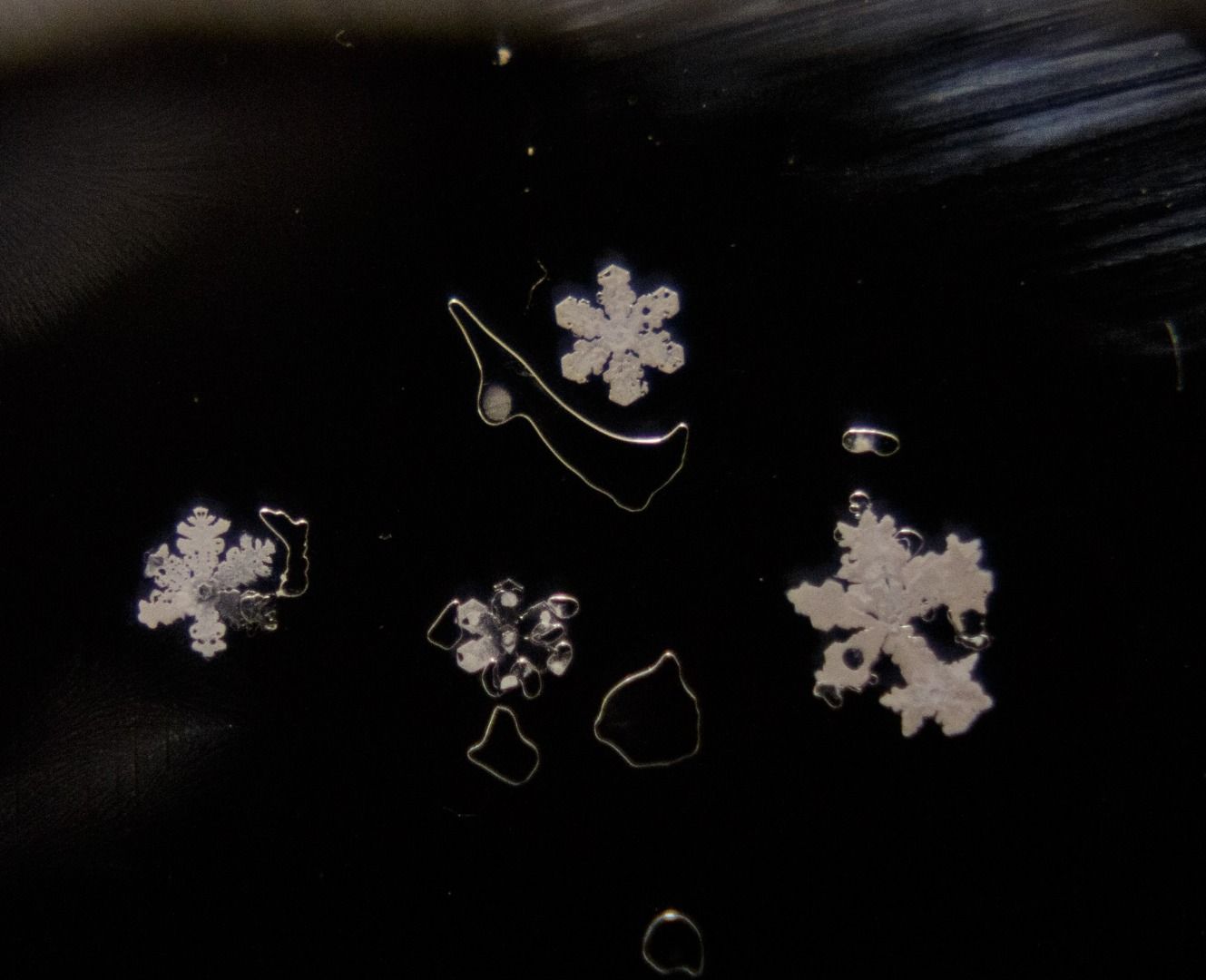 How to Preserve a Snowflake Forever! : 7 Steps (with Pictures ...