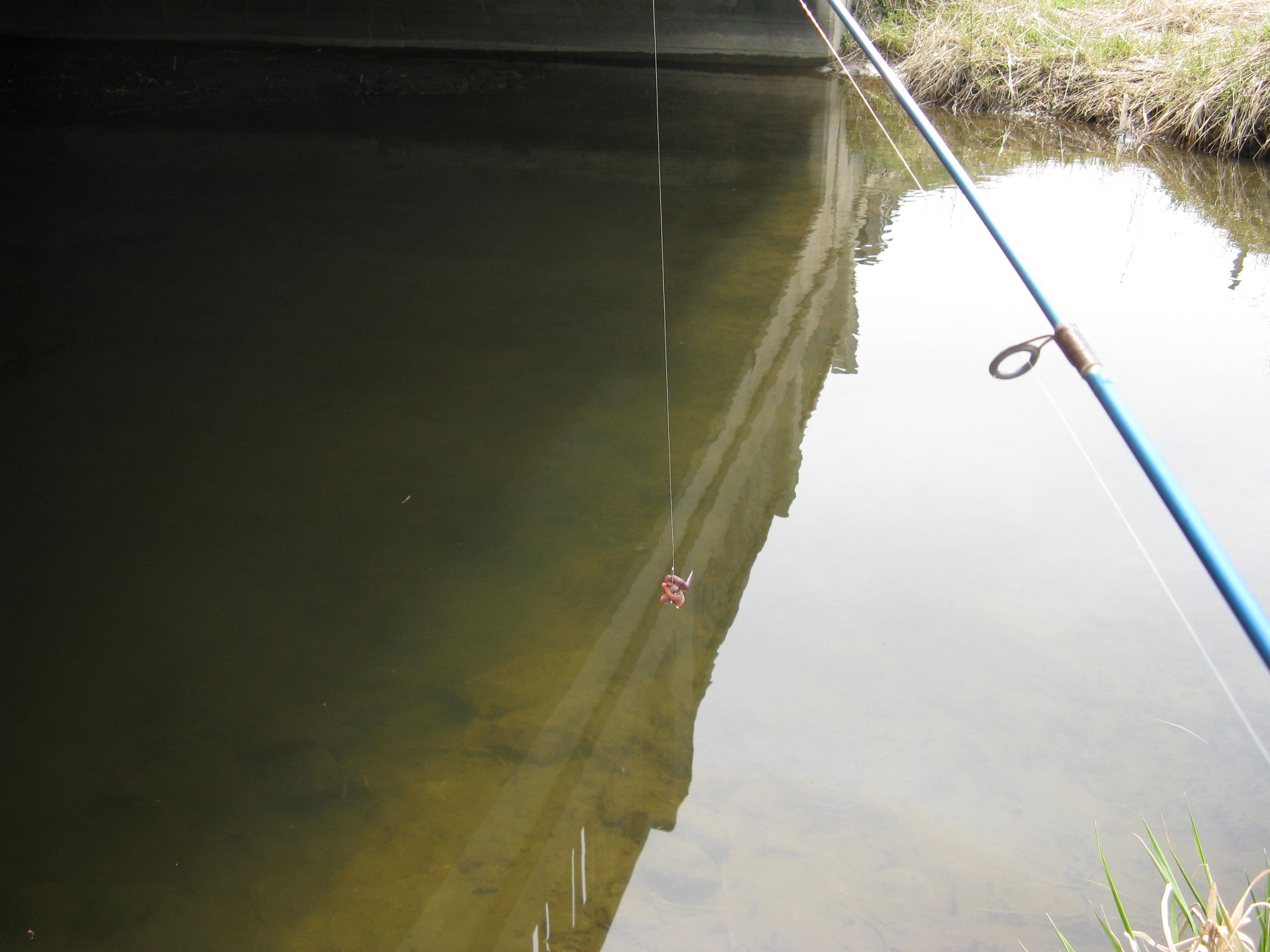 Fresh Trout Breakfast : 10 Steps (with Pictures) - Instructables