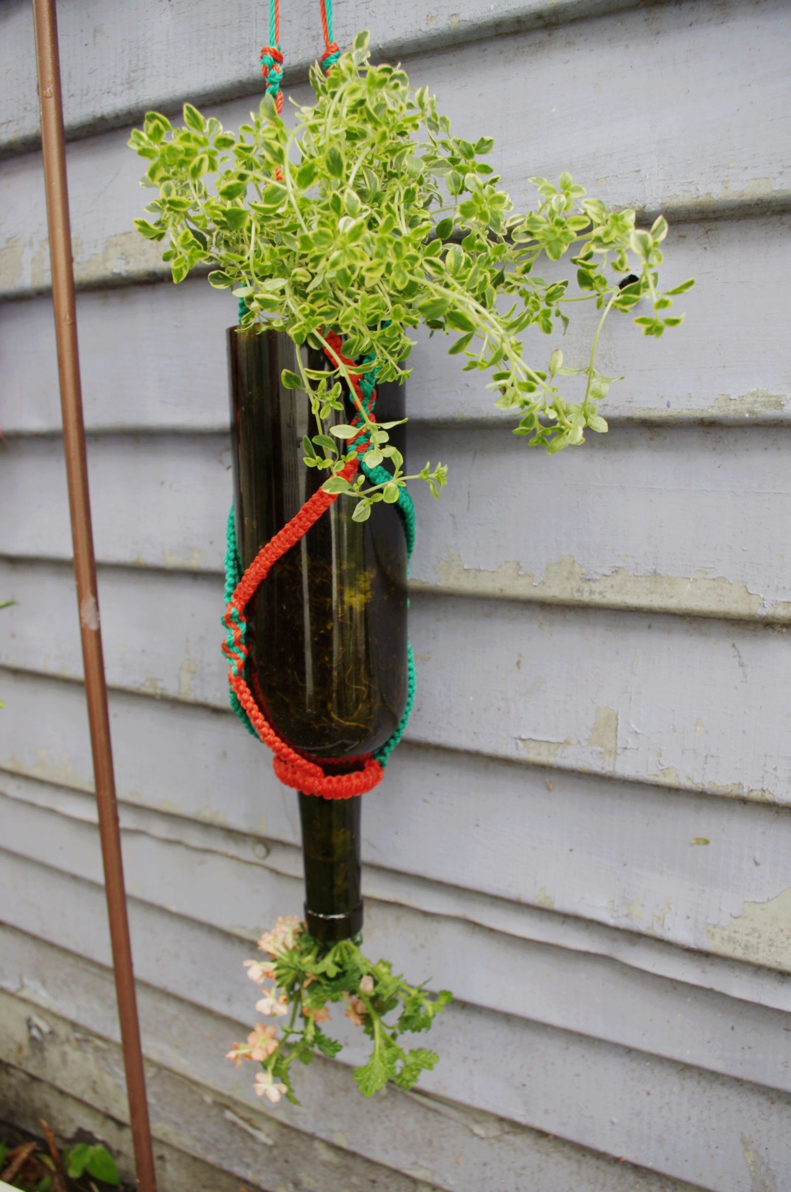 Inverted Wine Bottle Planter : 7 Steps (with Pictures) - Instructables