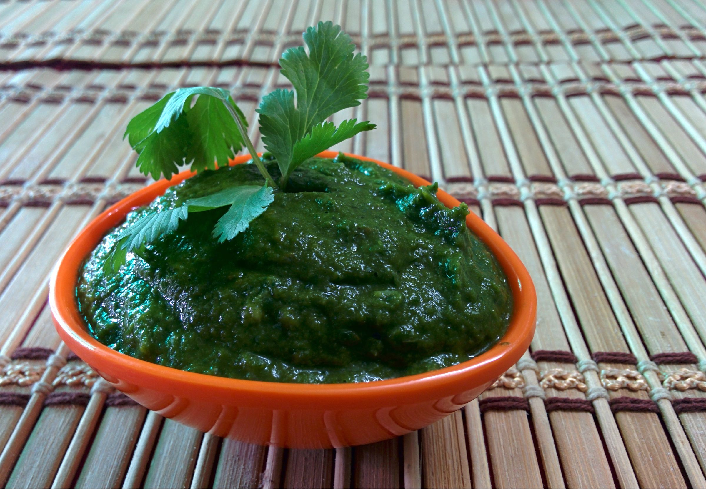 Healthy & Delicious Green Indian Chutney (Dip) : 5 Steps (with Pictures ...