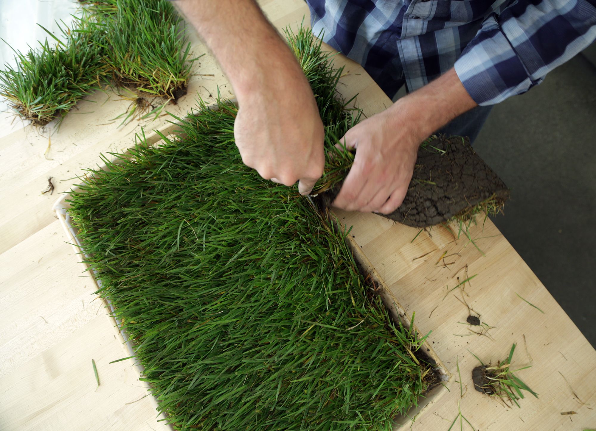 Grass Lunch Tray : 9 Steps (with Pictures) - Instructables