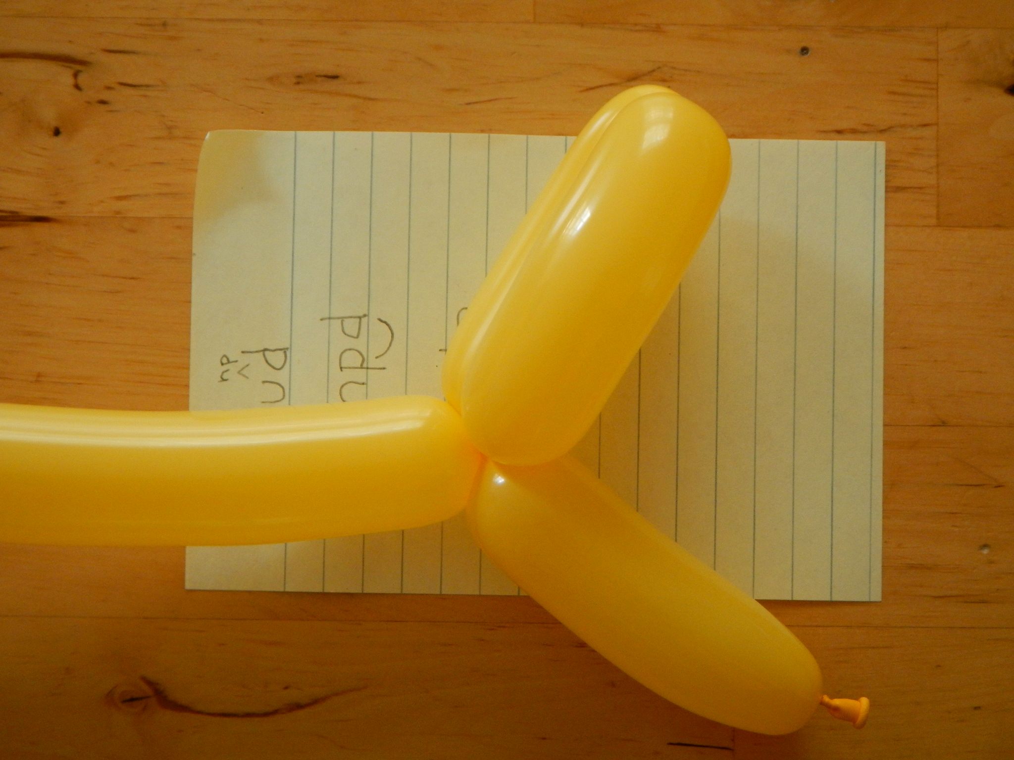 How to Evolve a Balloon Animal : 5 Steps (with Pictures) - Instructables