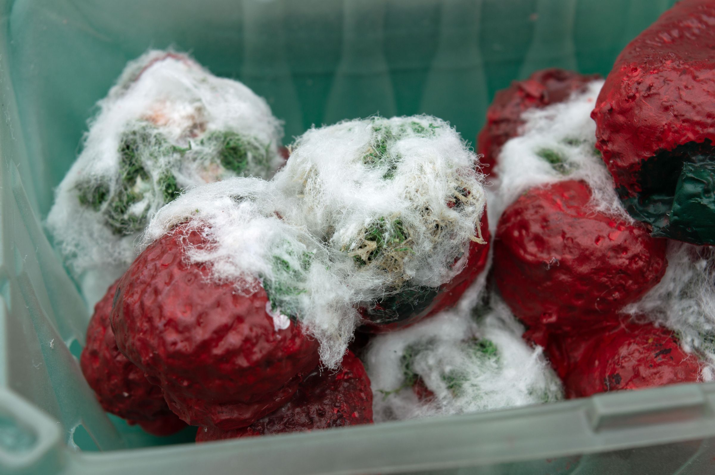 Secret Rotten Strawberry Safe : 20 Steps (with Pictures) - Instructables