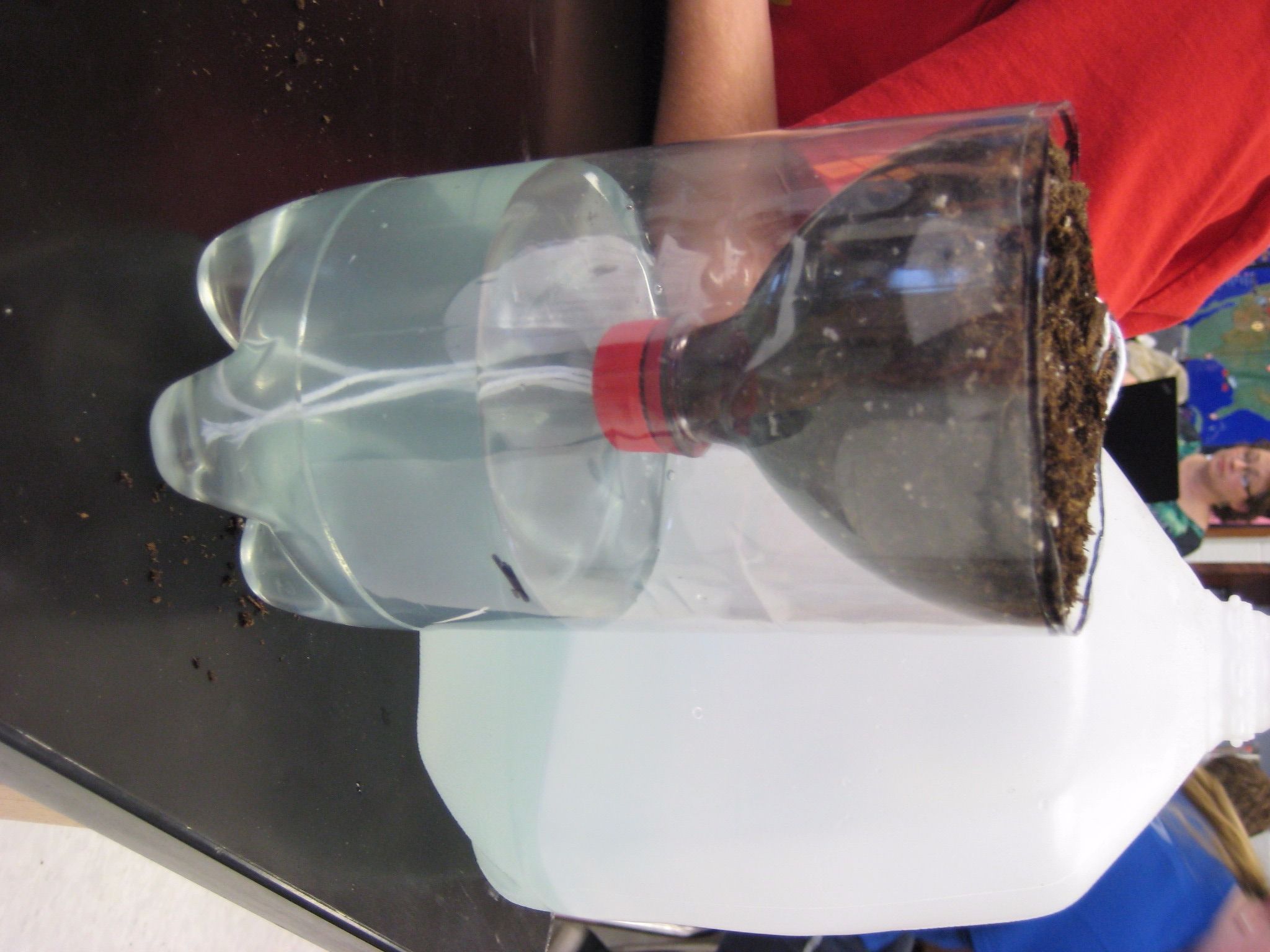 Simple Hydroponics Wick System : 6 Steps (with Pictures) - Instructables