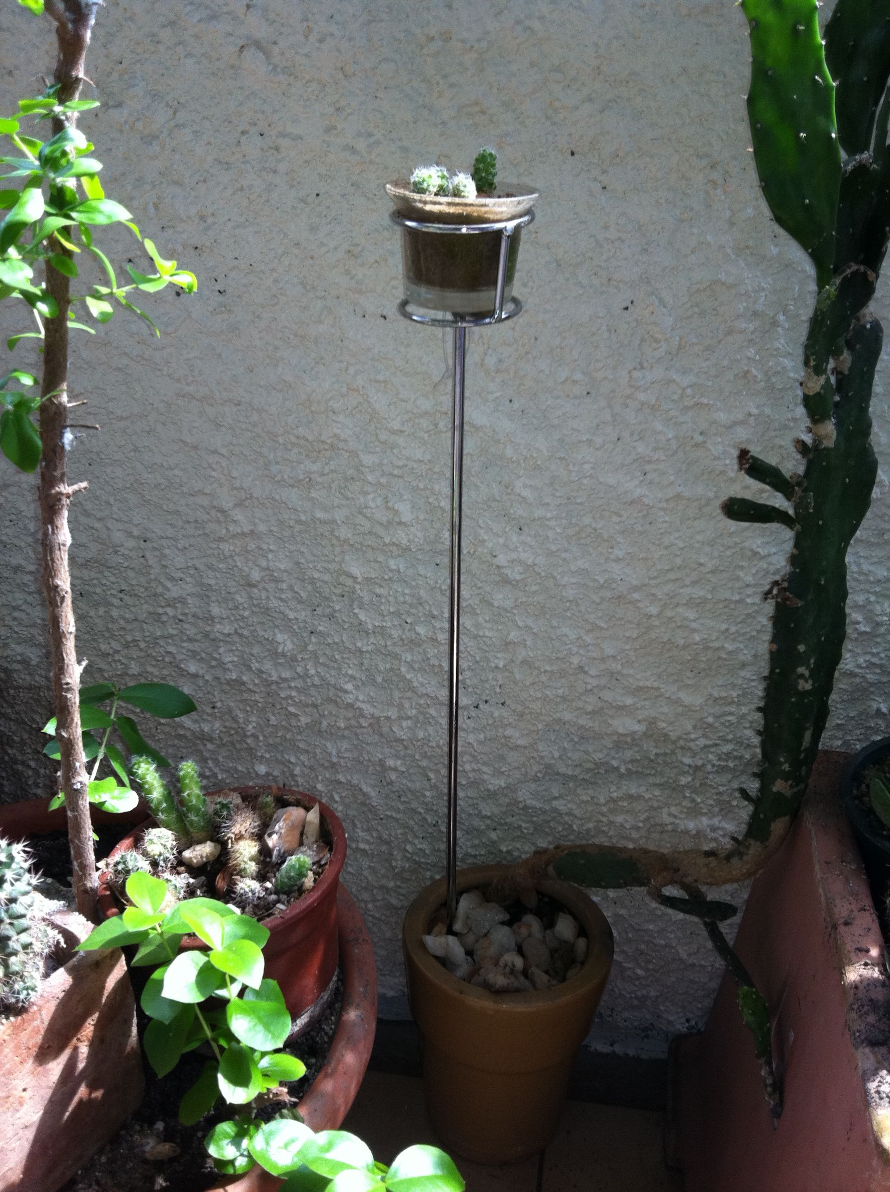 Balcony Small Plant Organizing Idea - Instructables