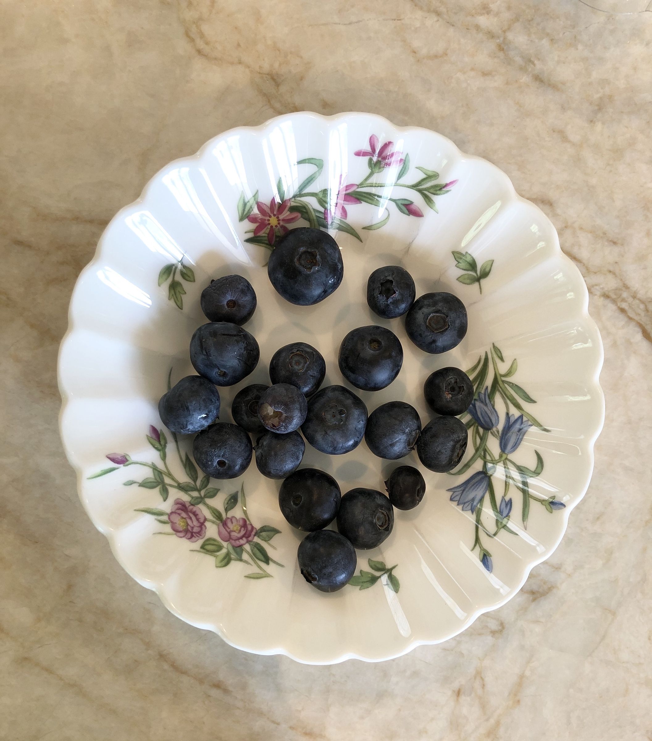 Dog-Friendly Frozen Treats Six Ways : 7 Steps (with Pictures ...