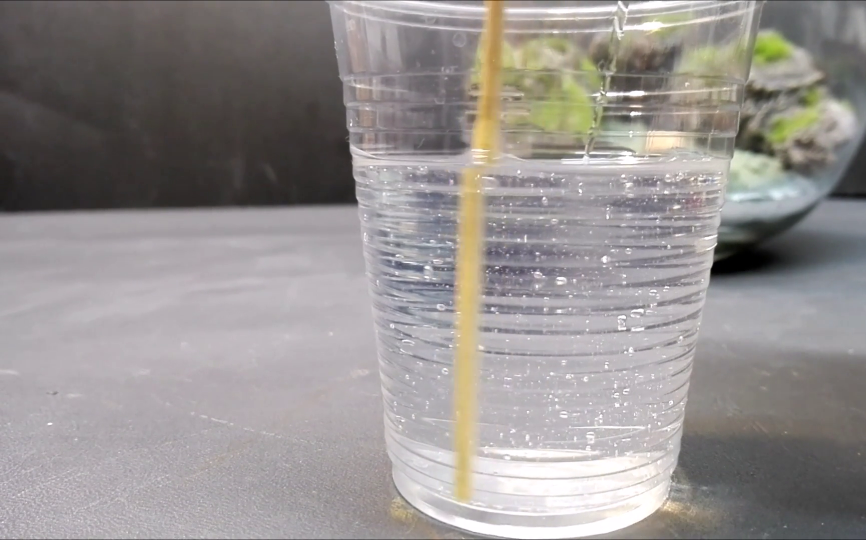 DIY River Terrarium|Diorama|Aquascape : 5 Steps - Instructables