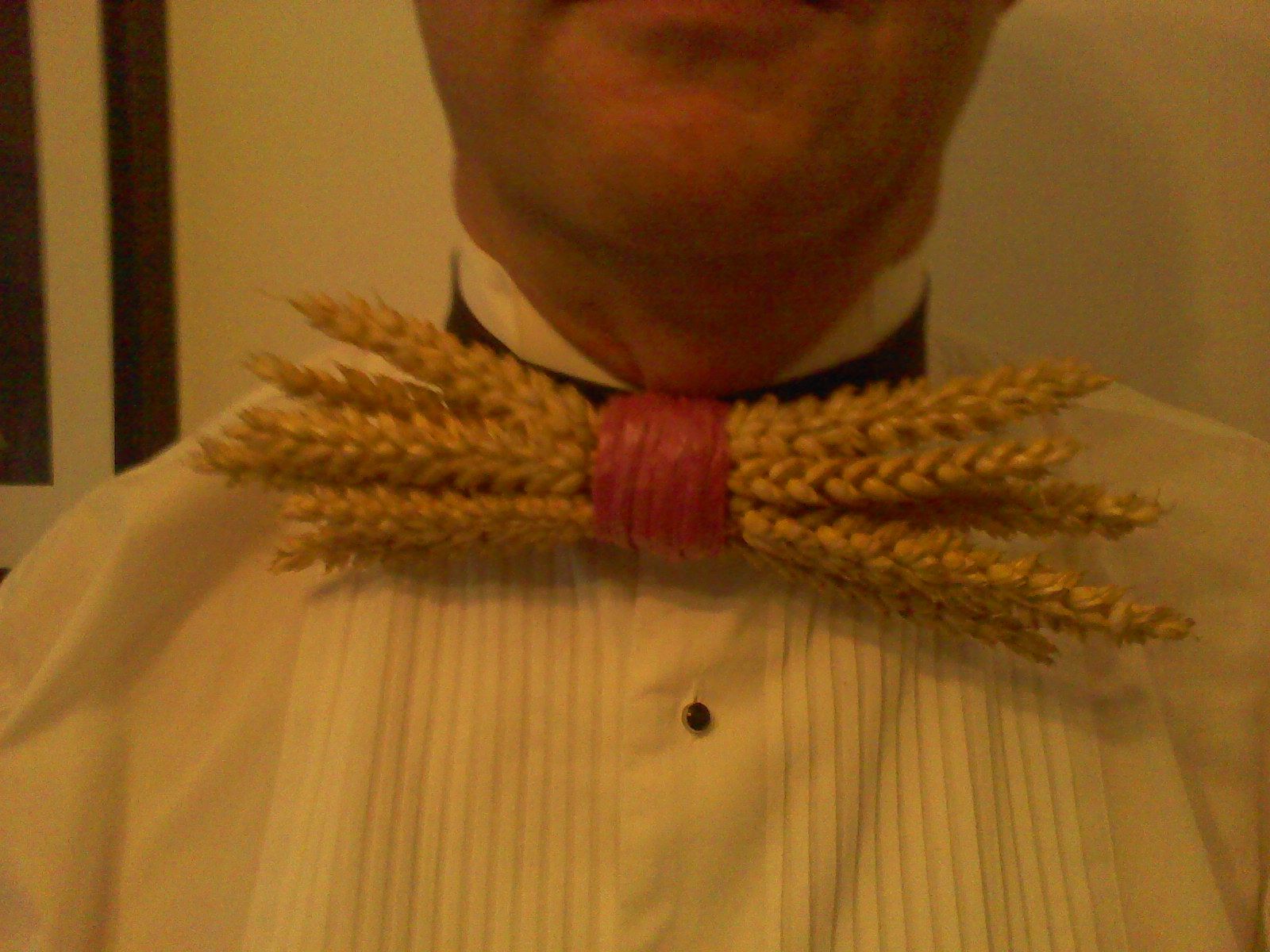 Wheat Sheaf Bow Tie - Instructables
