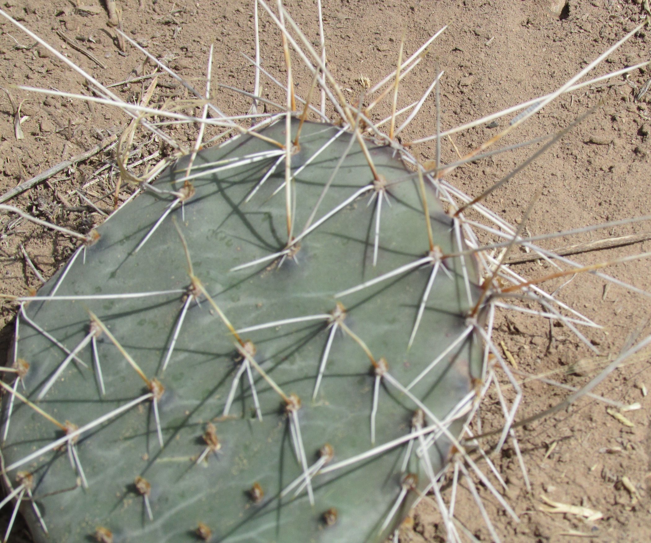 Solar Still : 4 Steps - Instructables
