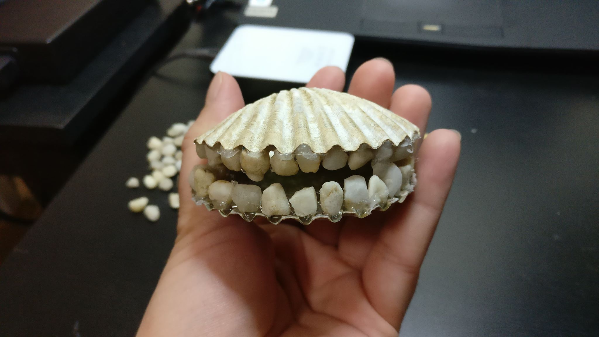 Toothy Shell Mouths : 4 Steps - Instructables