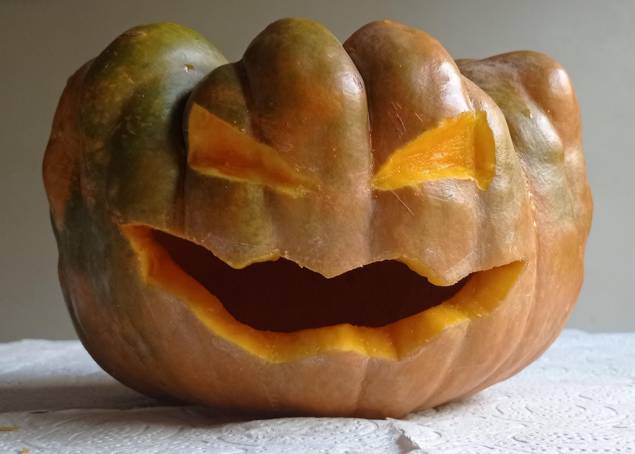 Carnivorous Pumpkin : 4 Steps (with Pictures) - Instructables