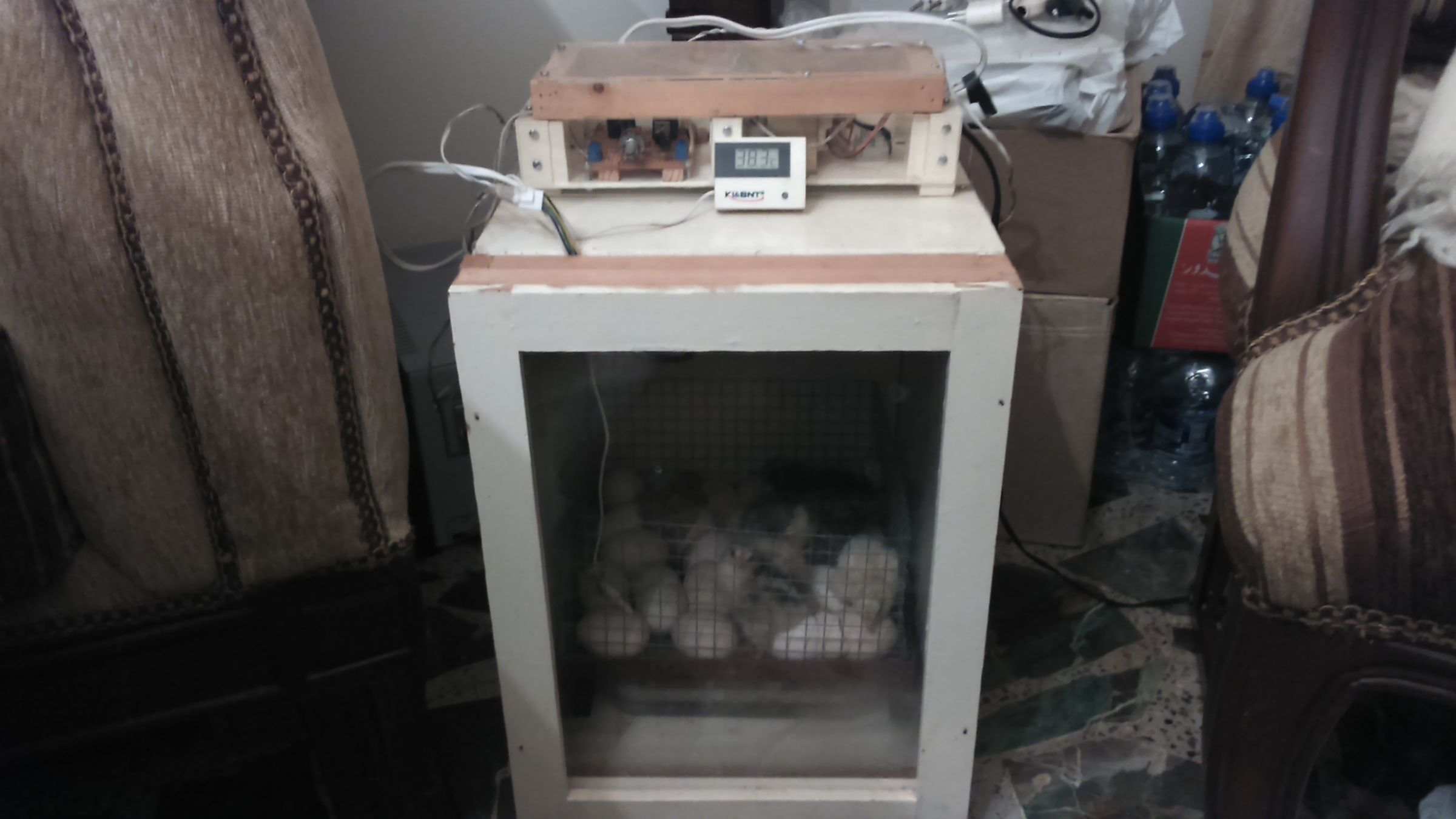 Automatic Egg Incubator : 4 Steps (with Pictures) - Instructables