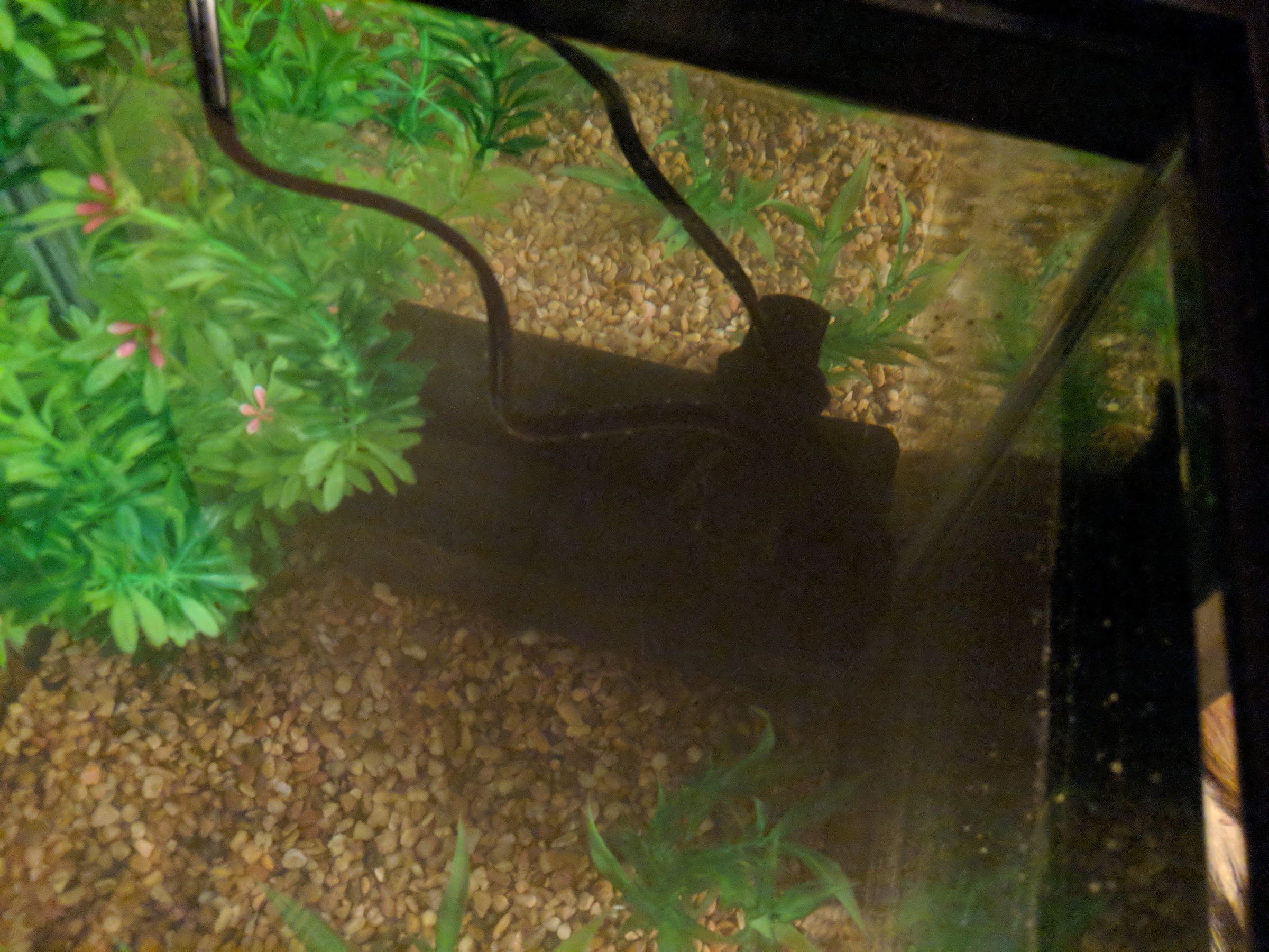 Build a TV Fish Tank : 6 Steps (with Pictures) - Instructables