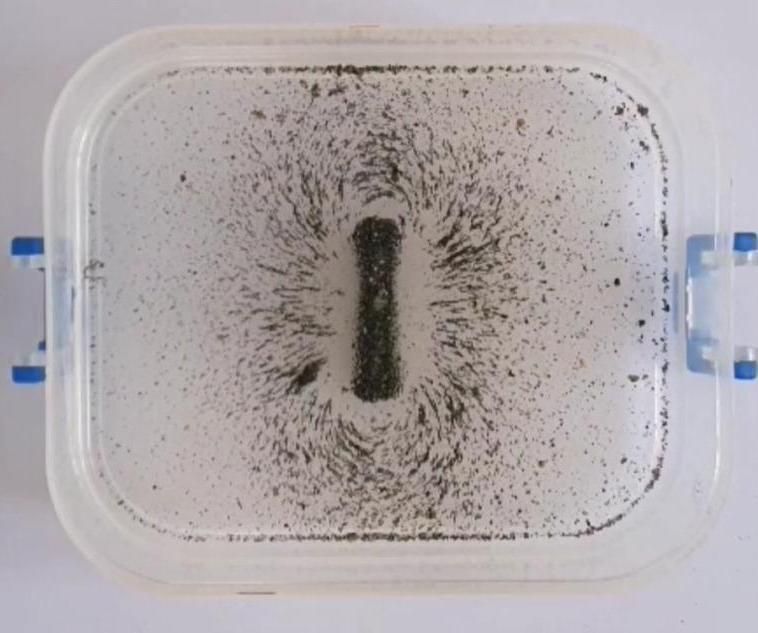 Visualizing Magnetic Field Lines : 5 Steps - Instructables