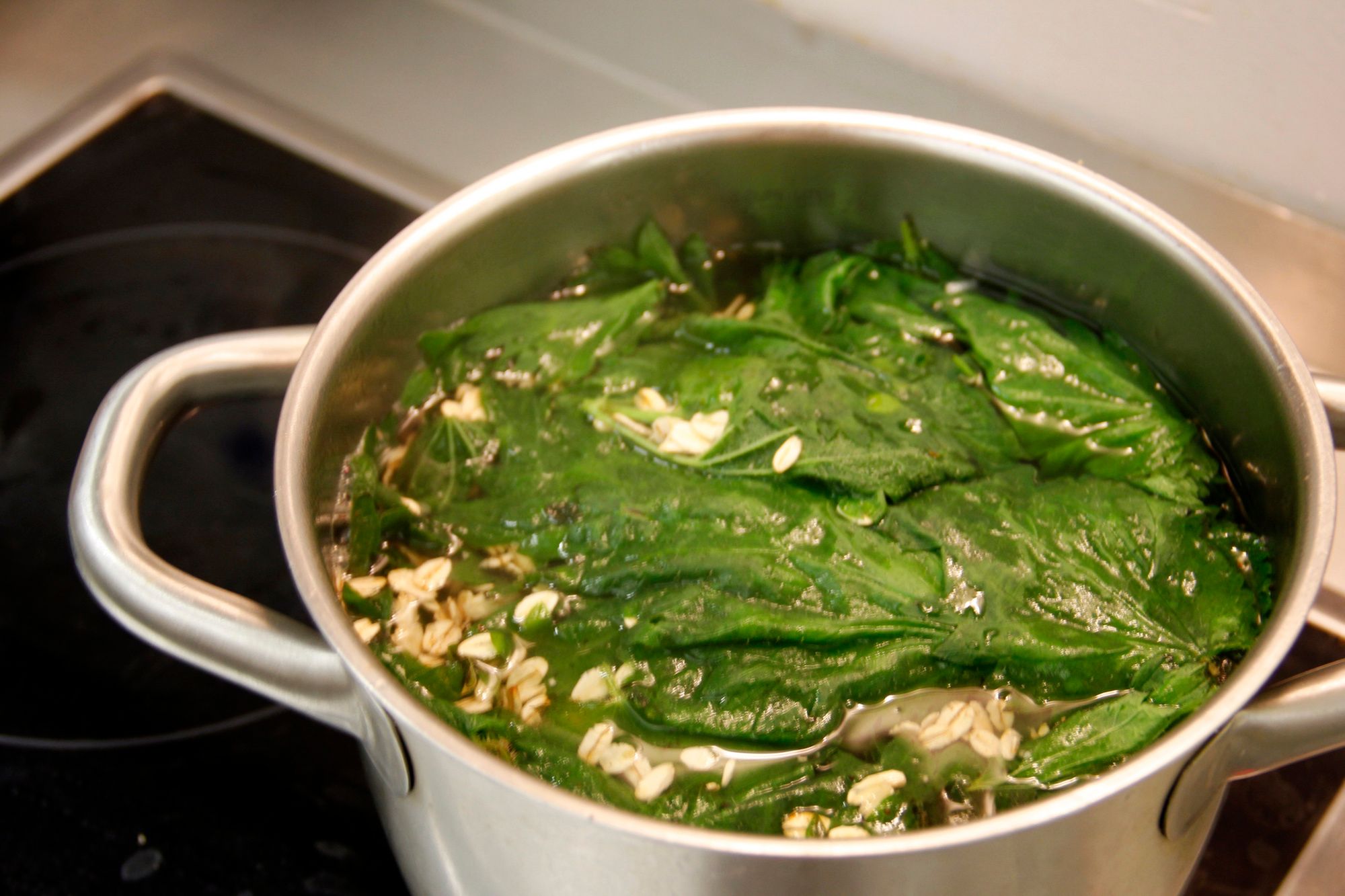 The Penultimate Nettle Guide : 11 Steps (with Pictures) - Instructables