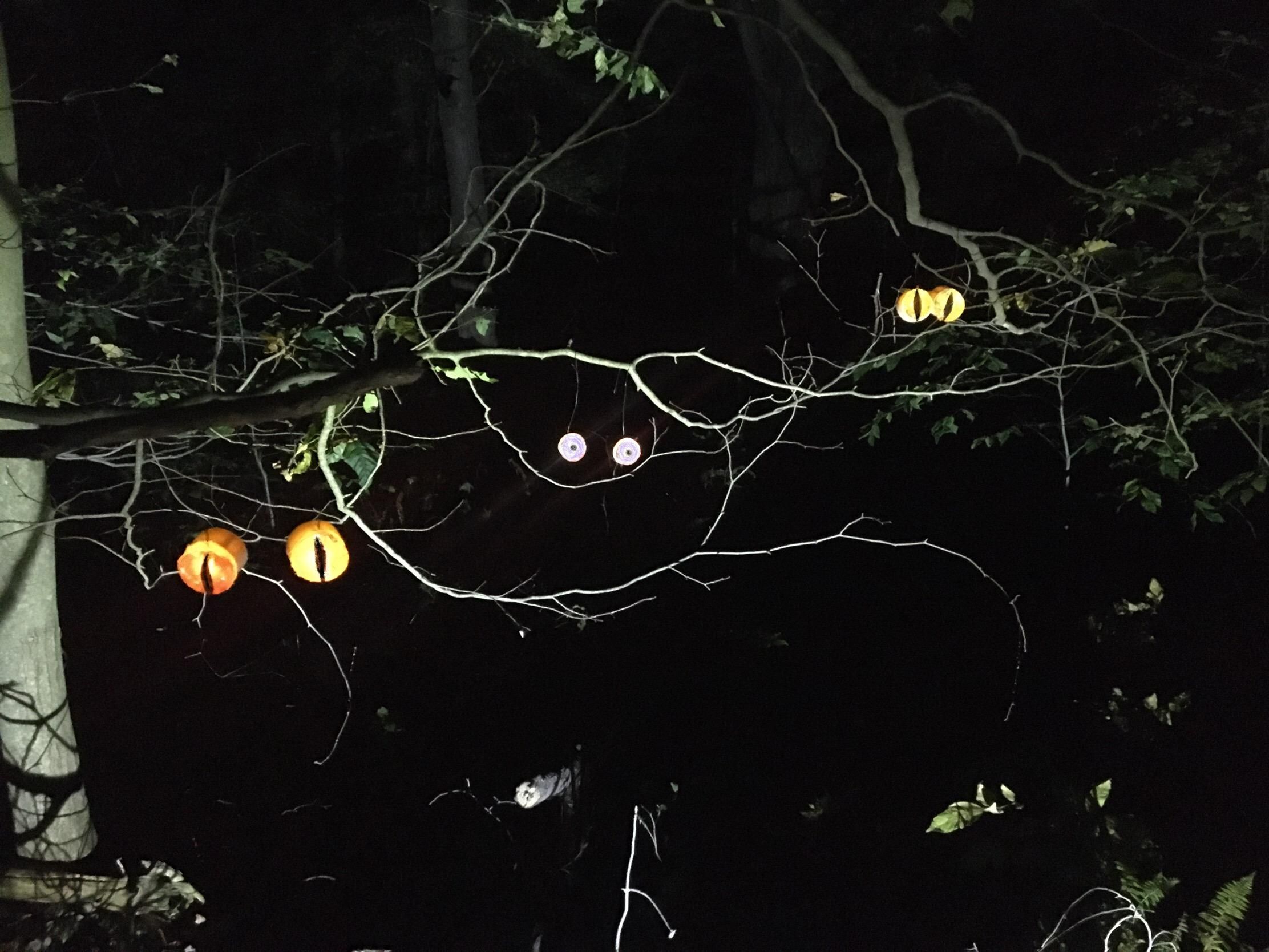 Spooky Light Up Eyes : 3 Steps (with Pictures) - Instructables