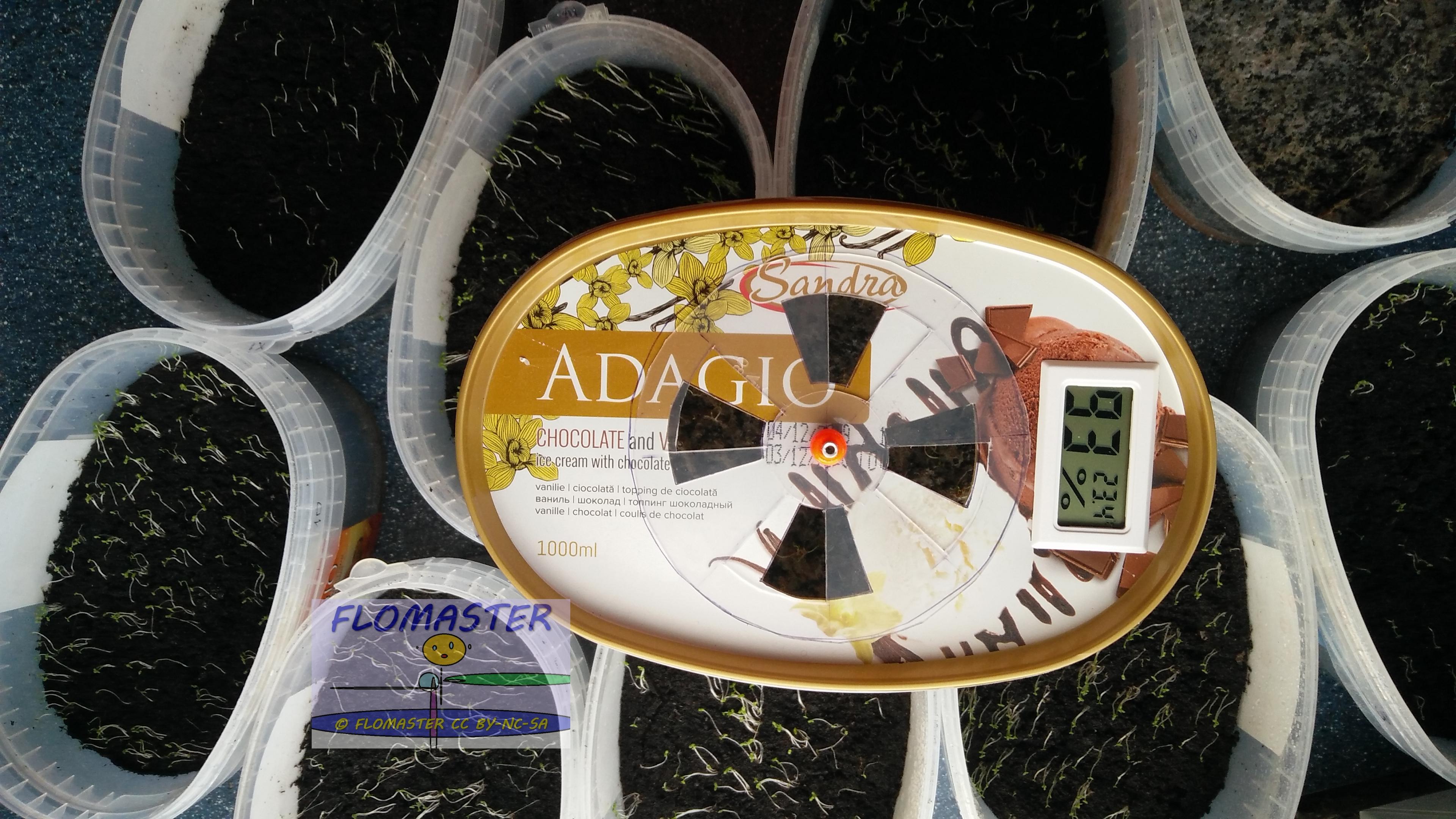 🌼 DIY Seedling Propagator From Recycled Plastic Container 🌼 : 12 Steps ...