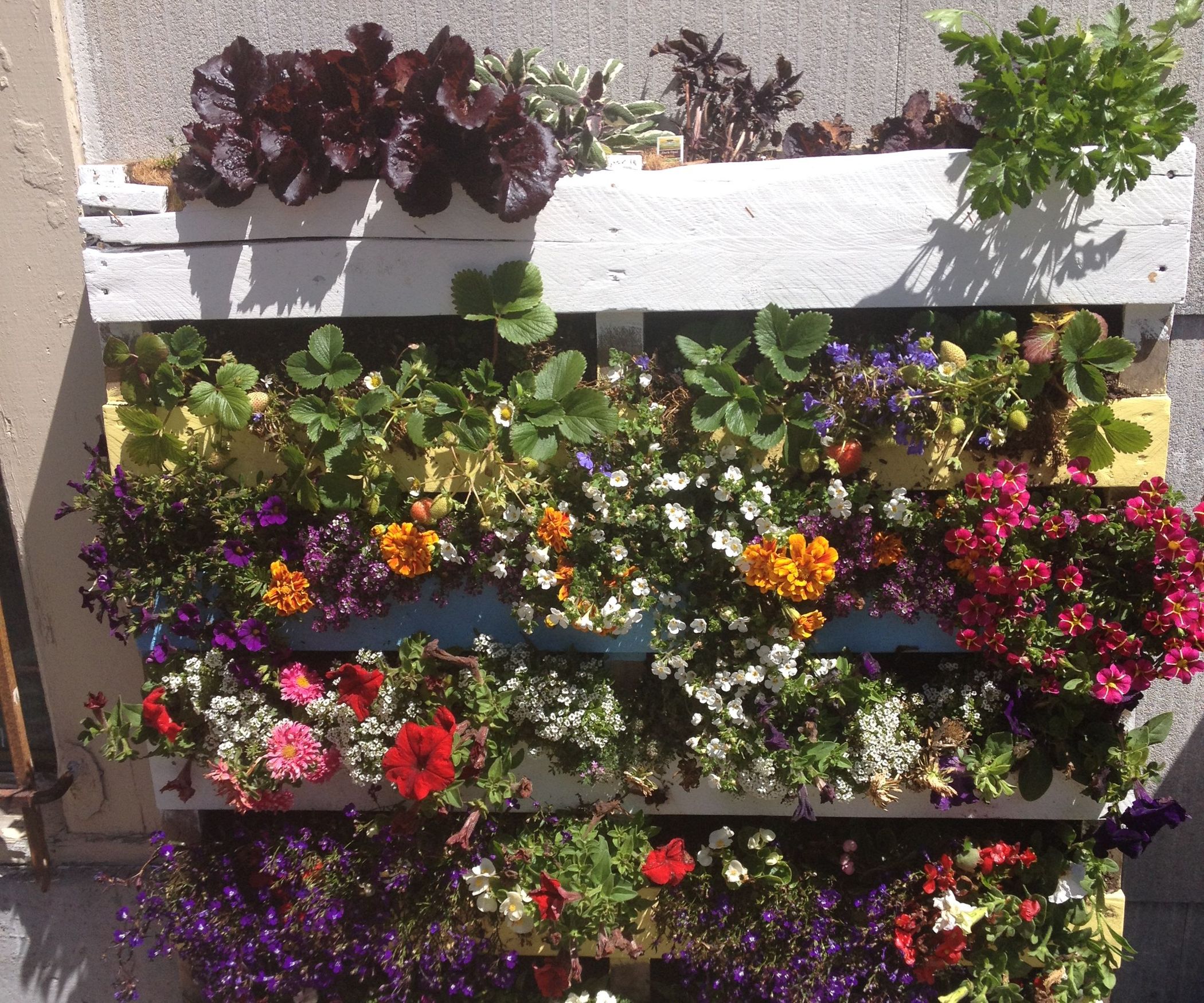 Horizontal Pallet Gardening DIY Pallet Vegetable Garden Pallets Pro