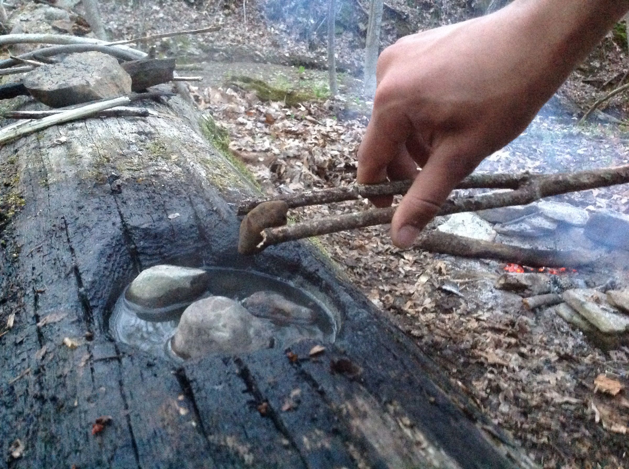 All Natural Burn Out Bowl : 7 Steps (with Pictures) - Instructables