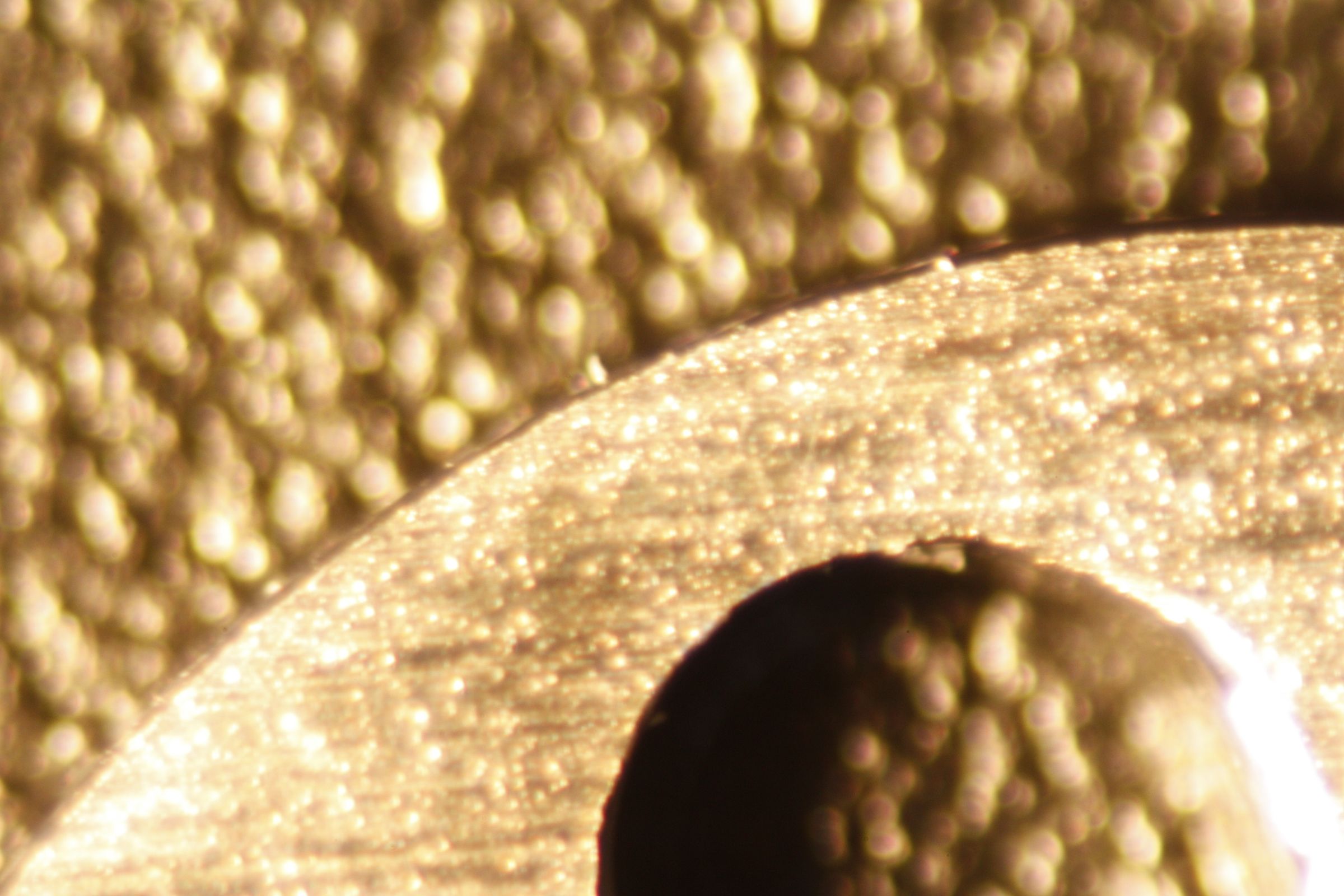 Super Macro Photography With a Coupling Ring : 8 Steps (with Pictures ...