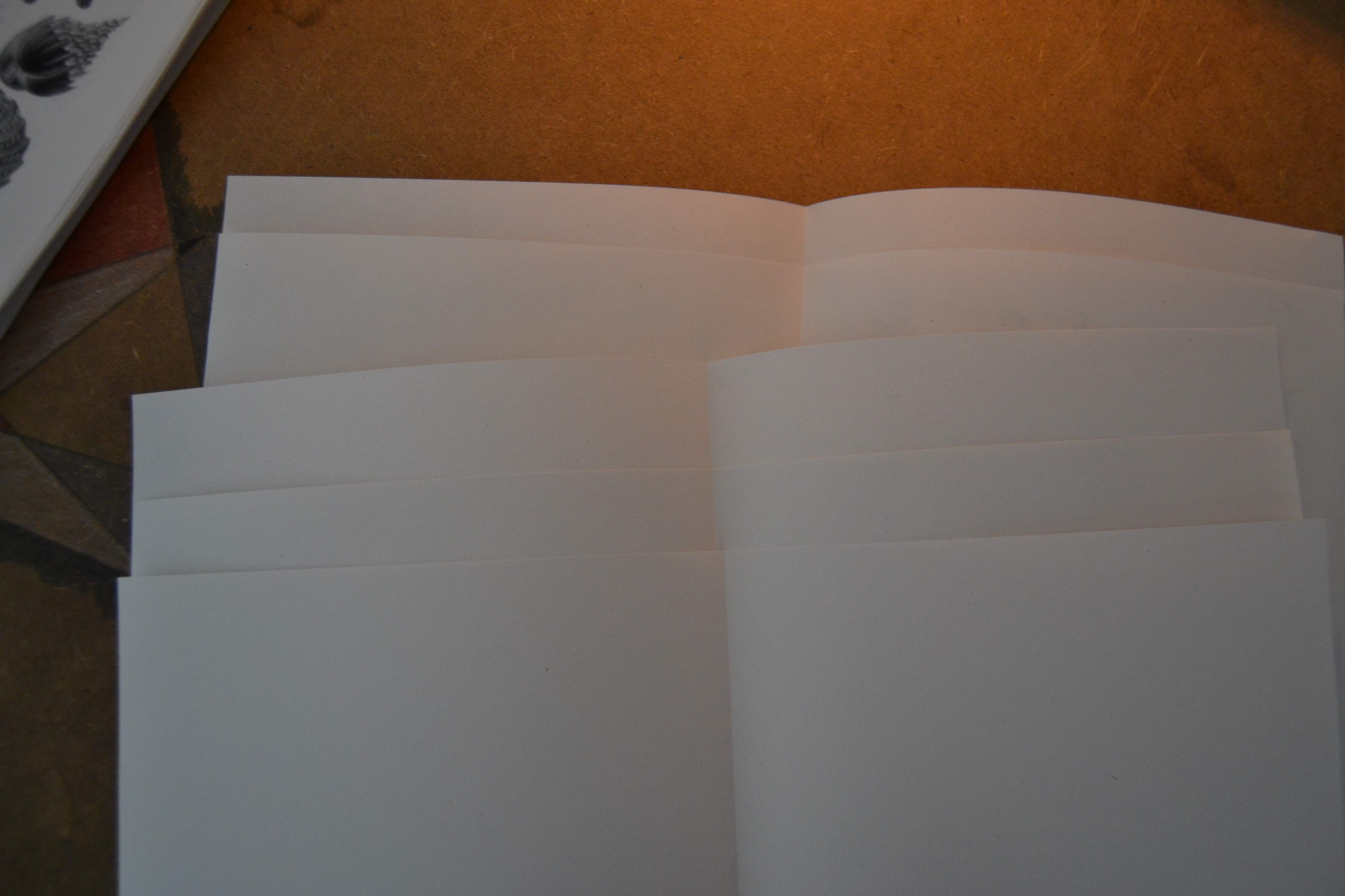 How to Bind a Book : 8 Steps (with Pictures) - Instructables